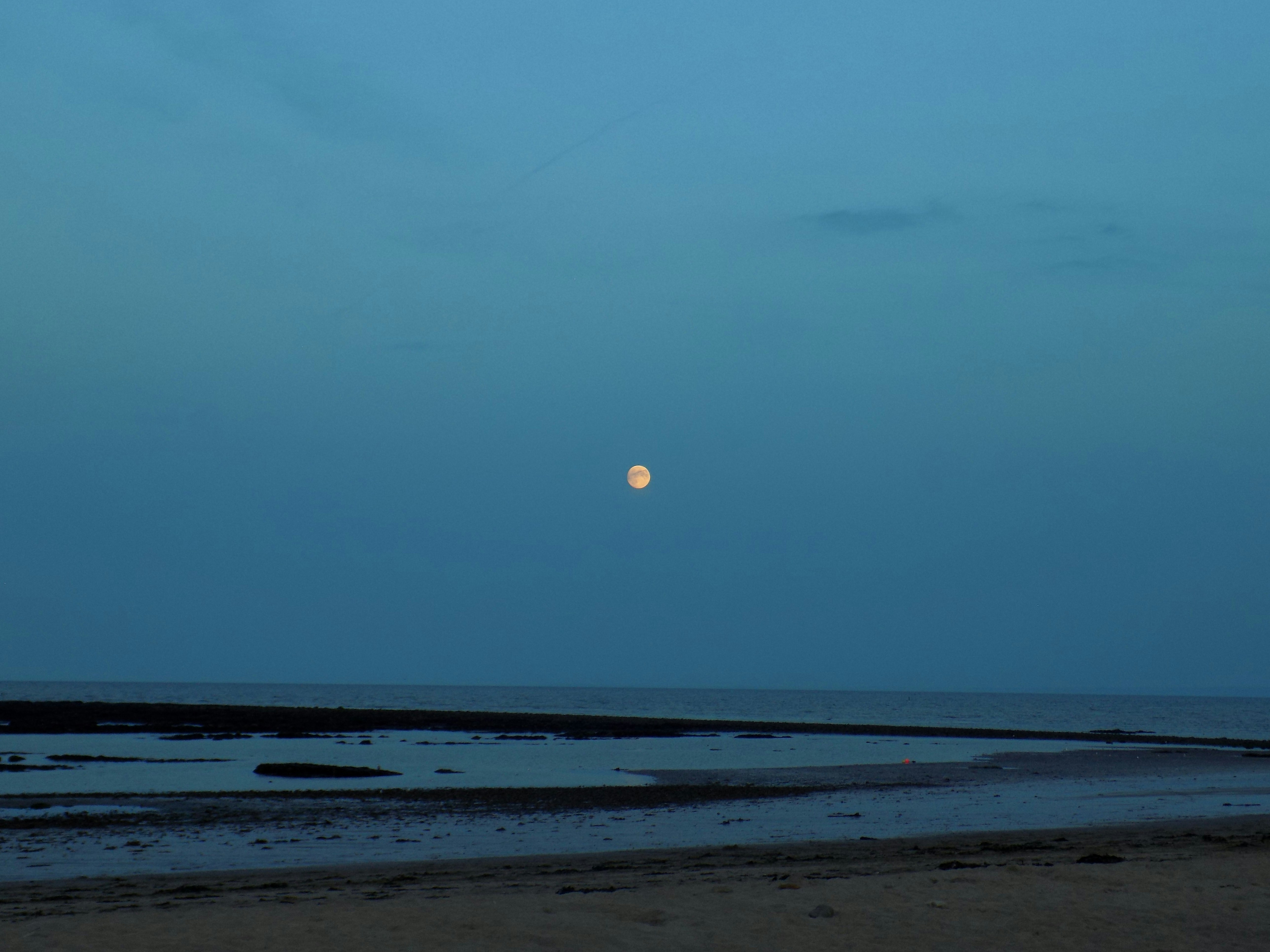 Full moon illuminating a tranquil beach under a dusky sky.
