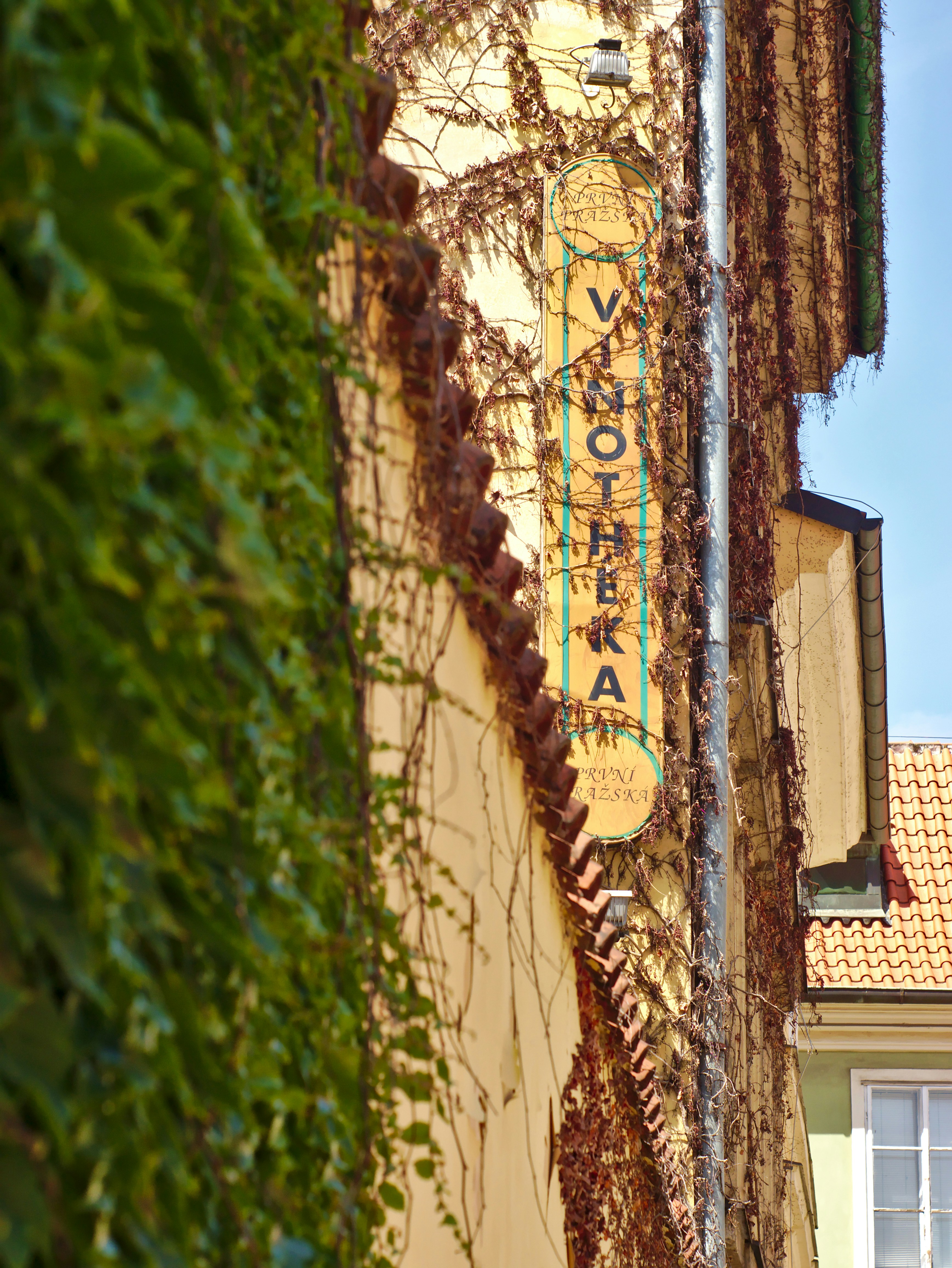 Sunlit European building façade with an ivy-clad vertical sign running down its wall.