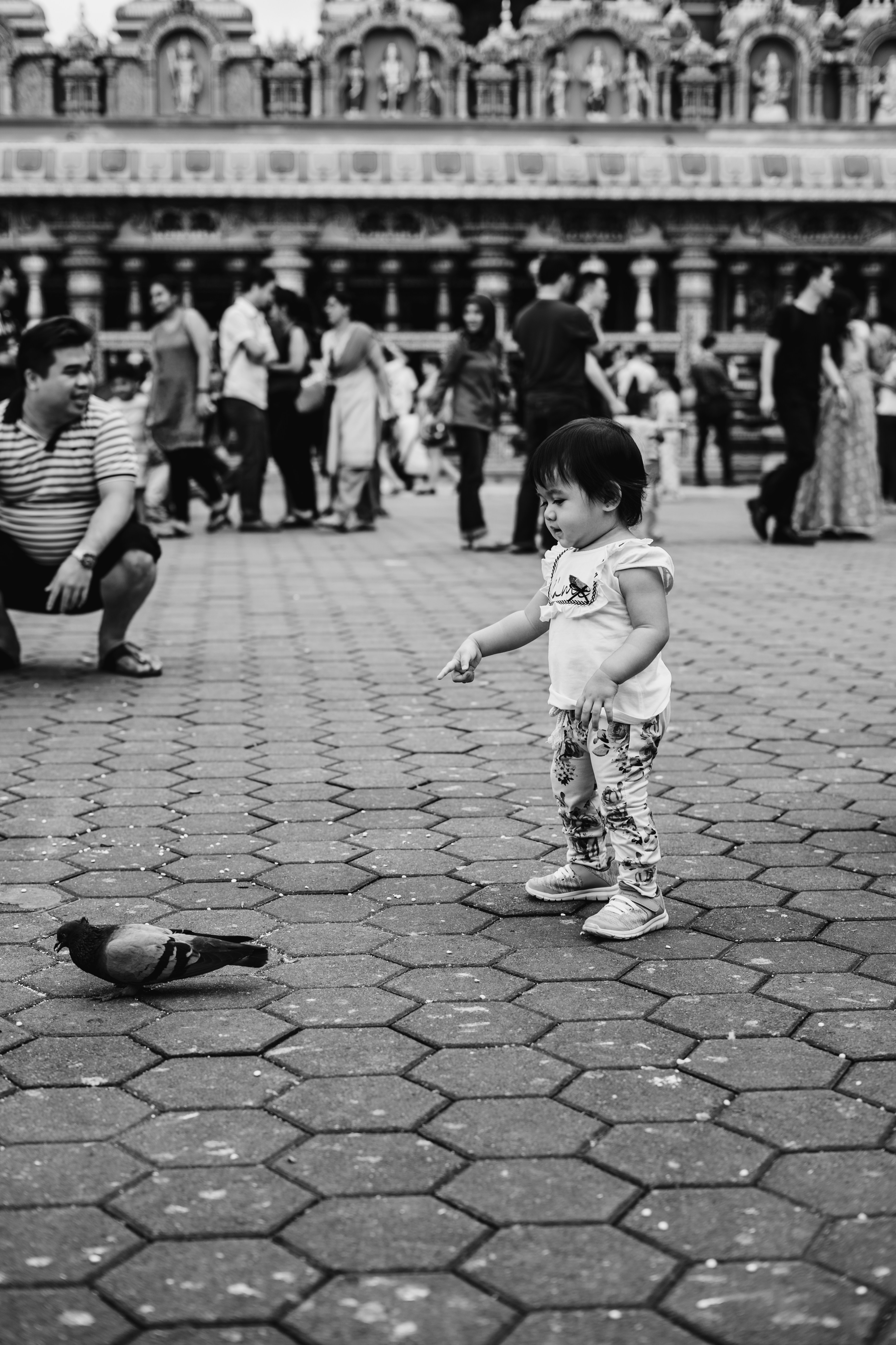 Hexagonal Plaza: Tiny Wanderer and the Pigeon
