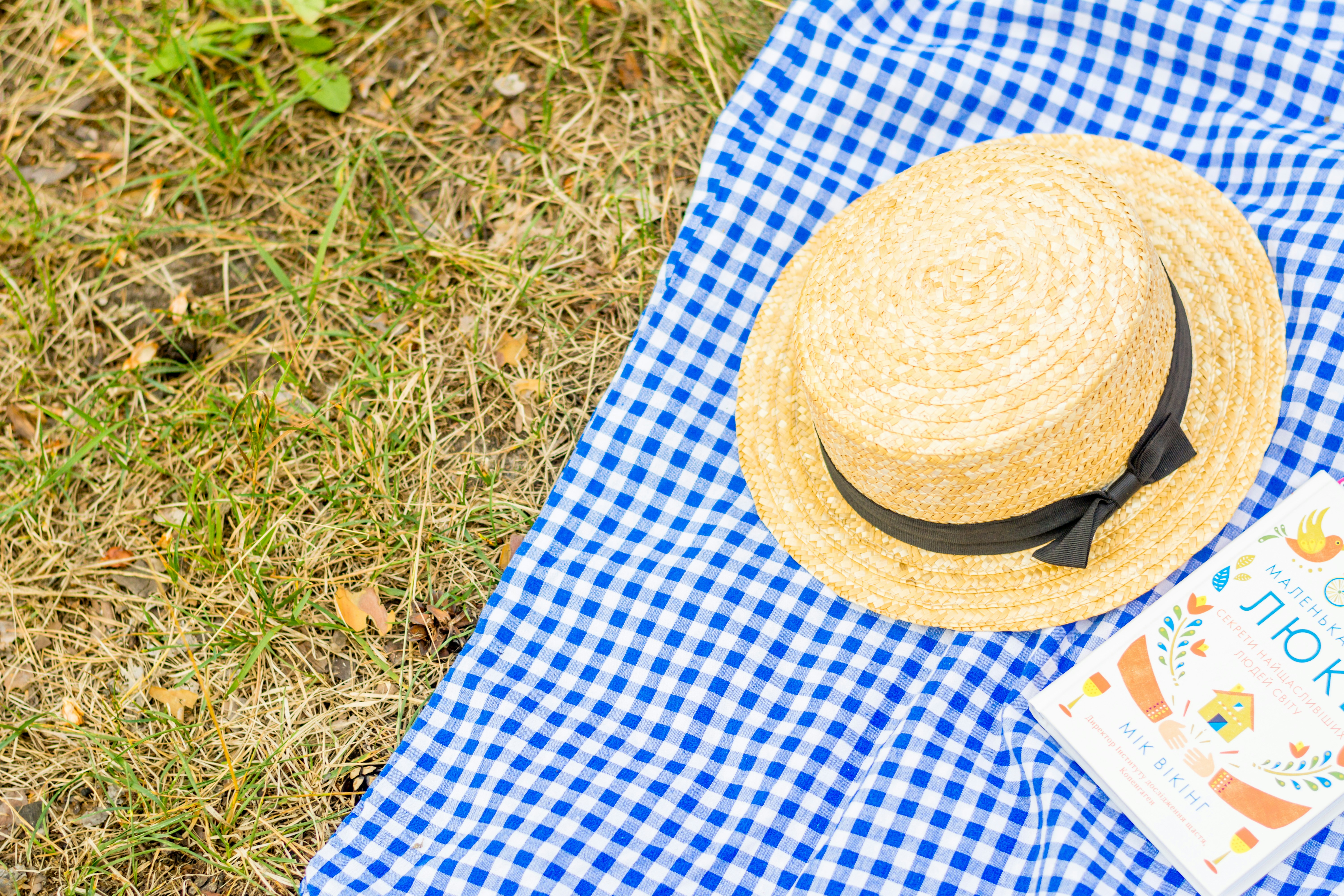 A straw hat rests on a blue and white checkered blanket beside a colorful book, set against a backdrop of dry grass.