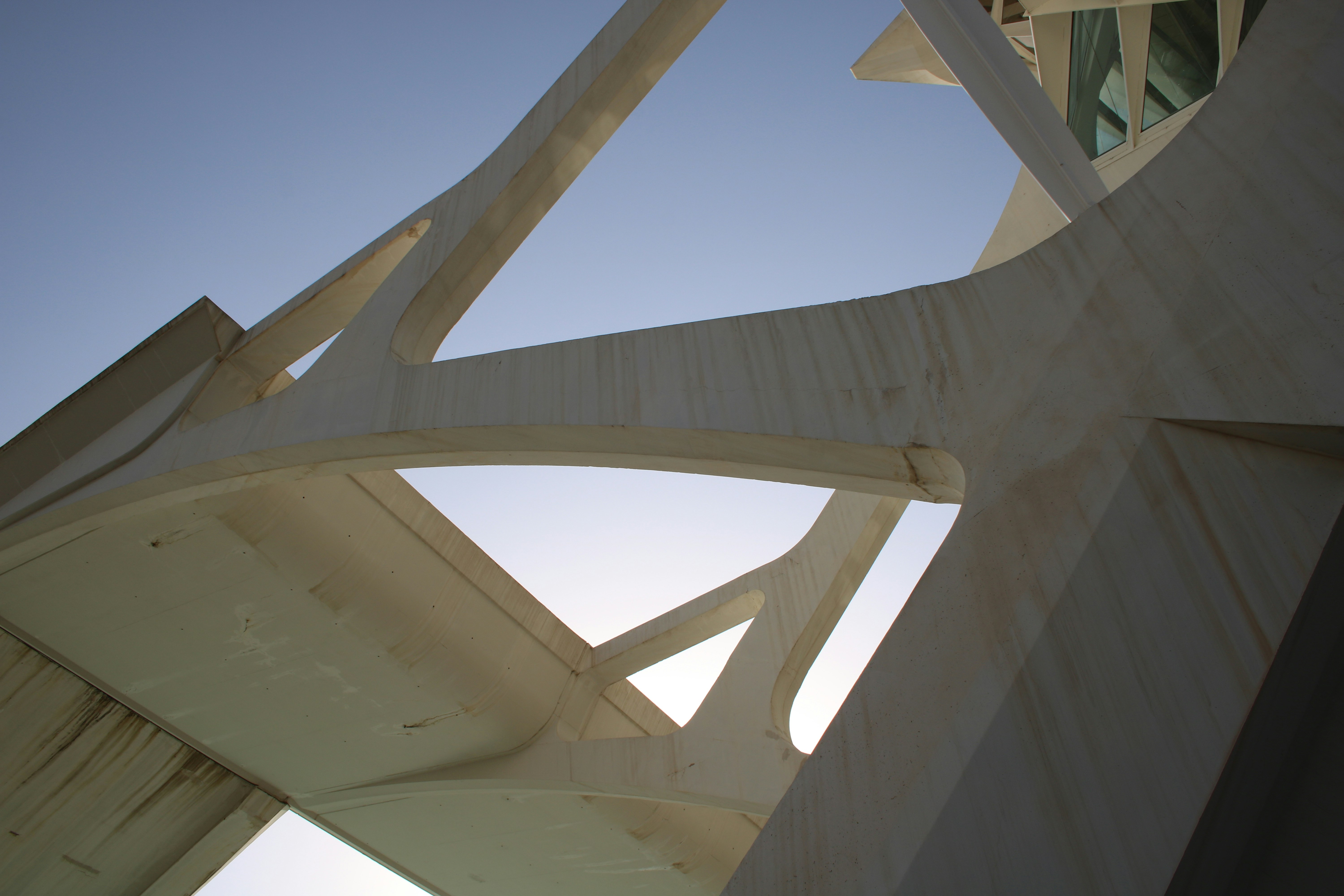 Yasmine Bouma (@yasminxnina) | Unsplash Photo Community