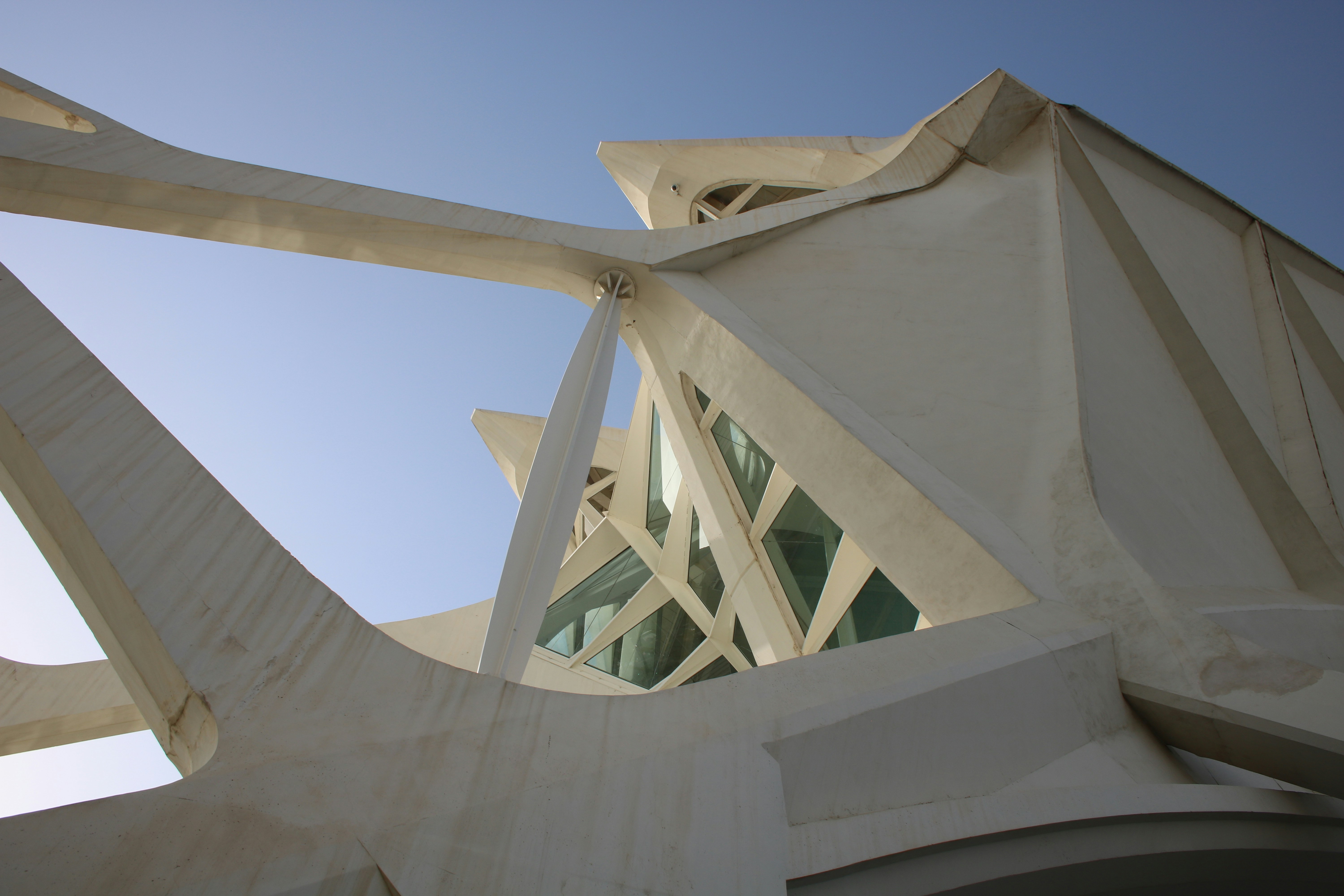 Yasmine Bouma (@yasminxnina) | Unsplash Photo Community