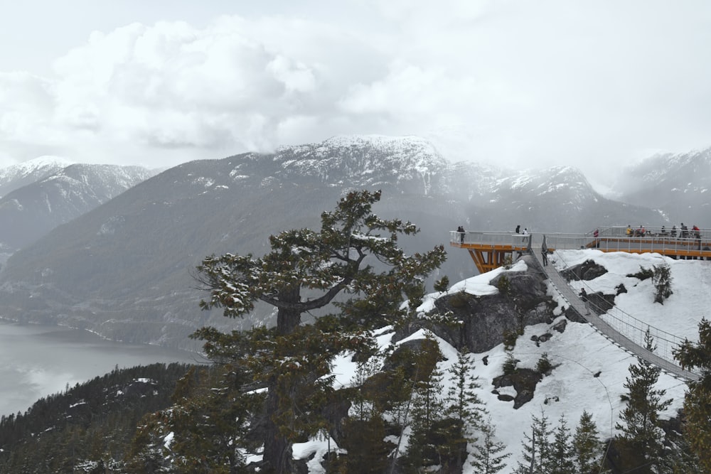 Stan Wittenberg (@tribal) | Unsplash Photo Community