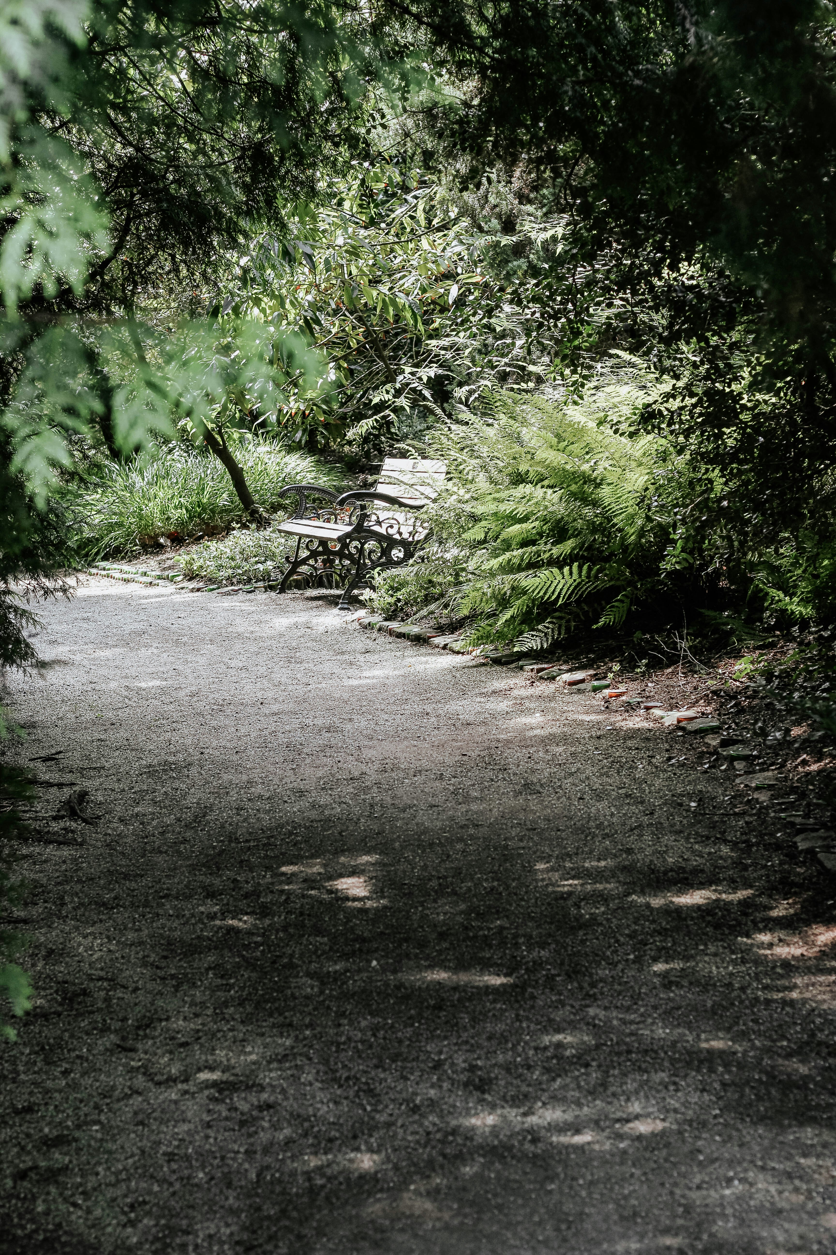 Black and white bench surrounded by green trees photo – Free Nederland ...