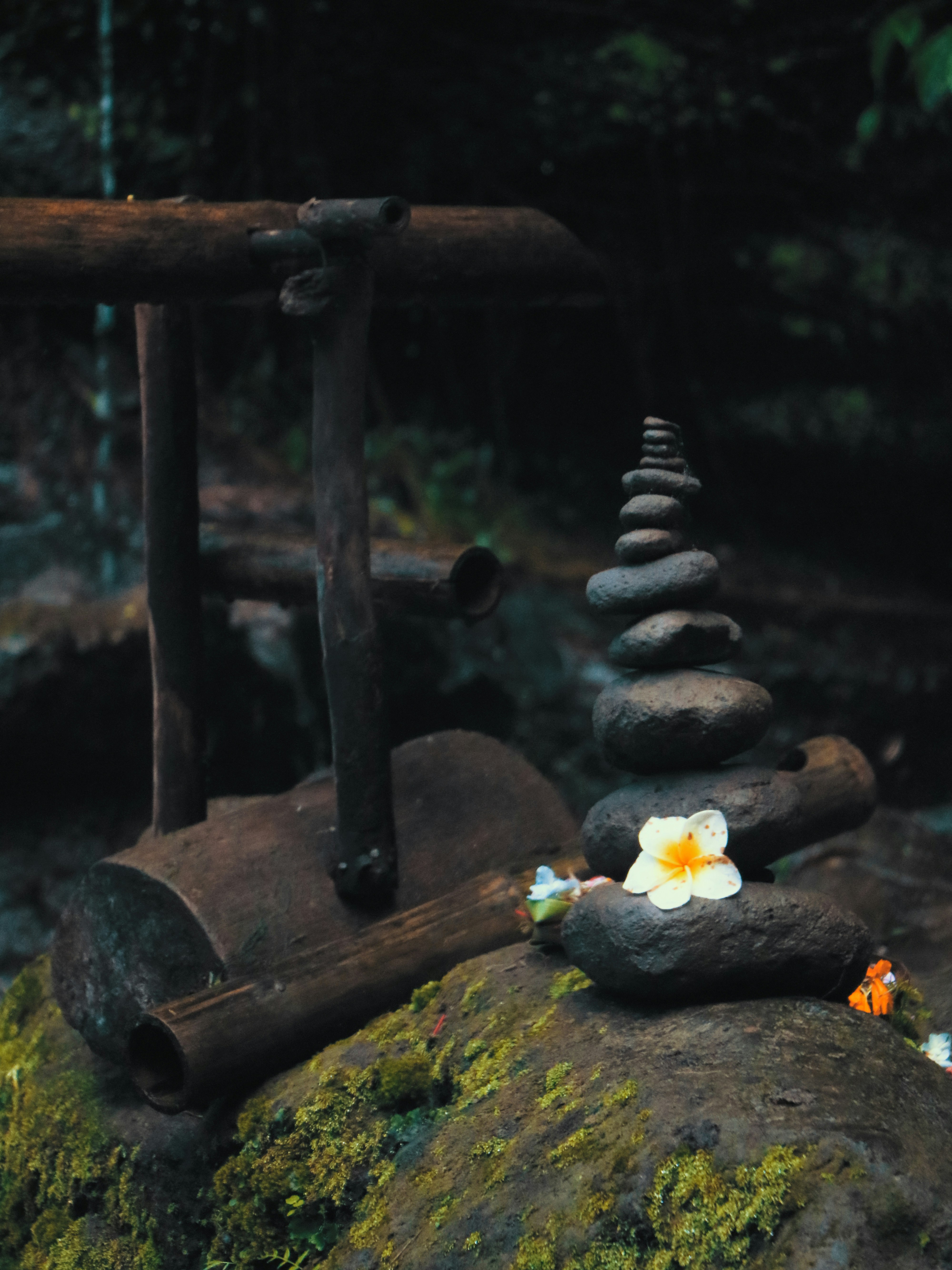 Mushin: The Zen Mind of No-Mind