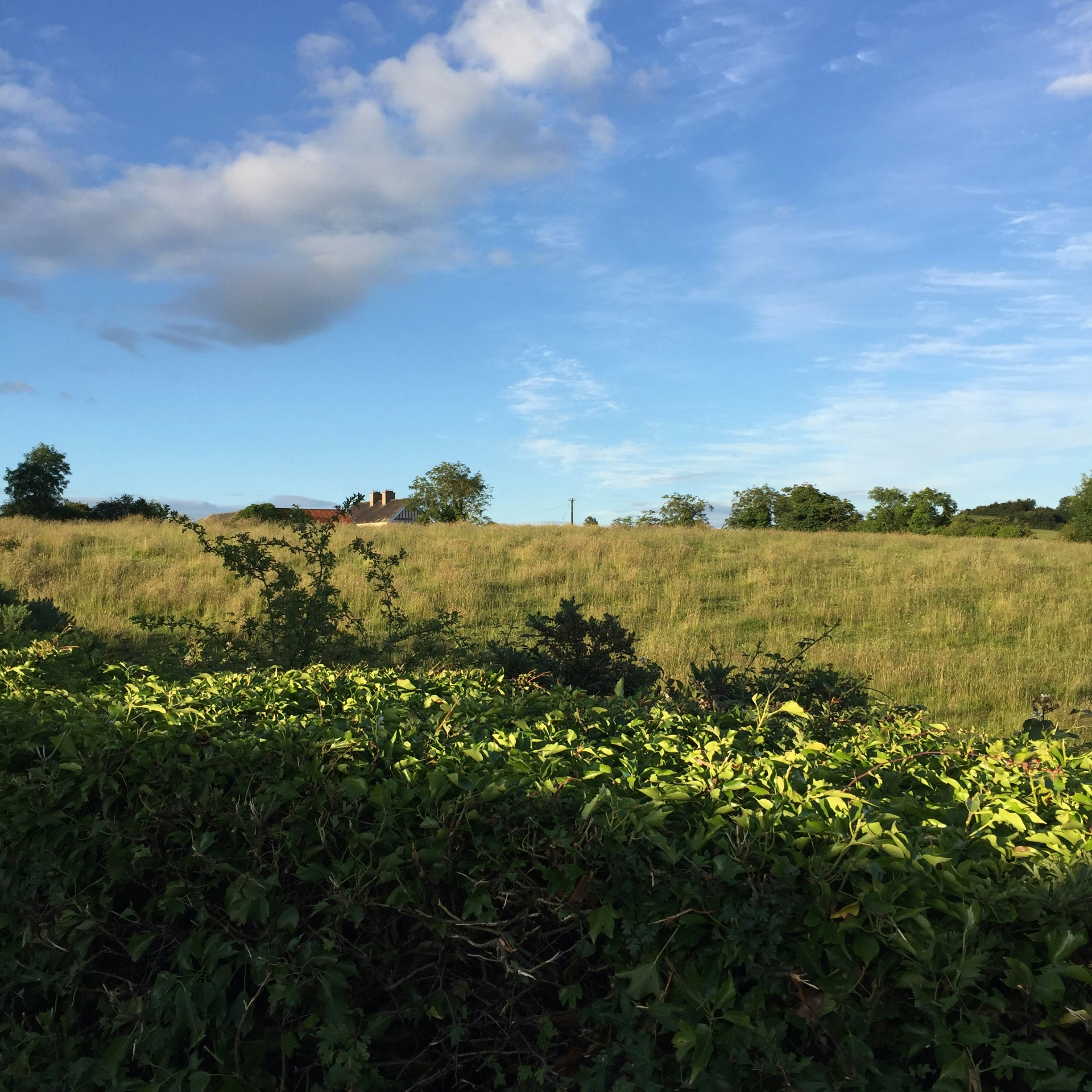 Amy Martin (@amy_meegan) | Comunidade de fotos da Unsplash