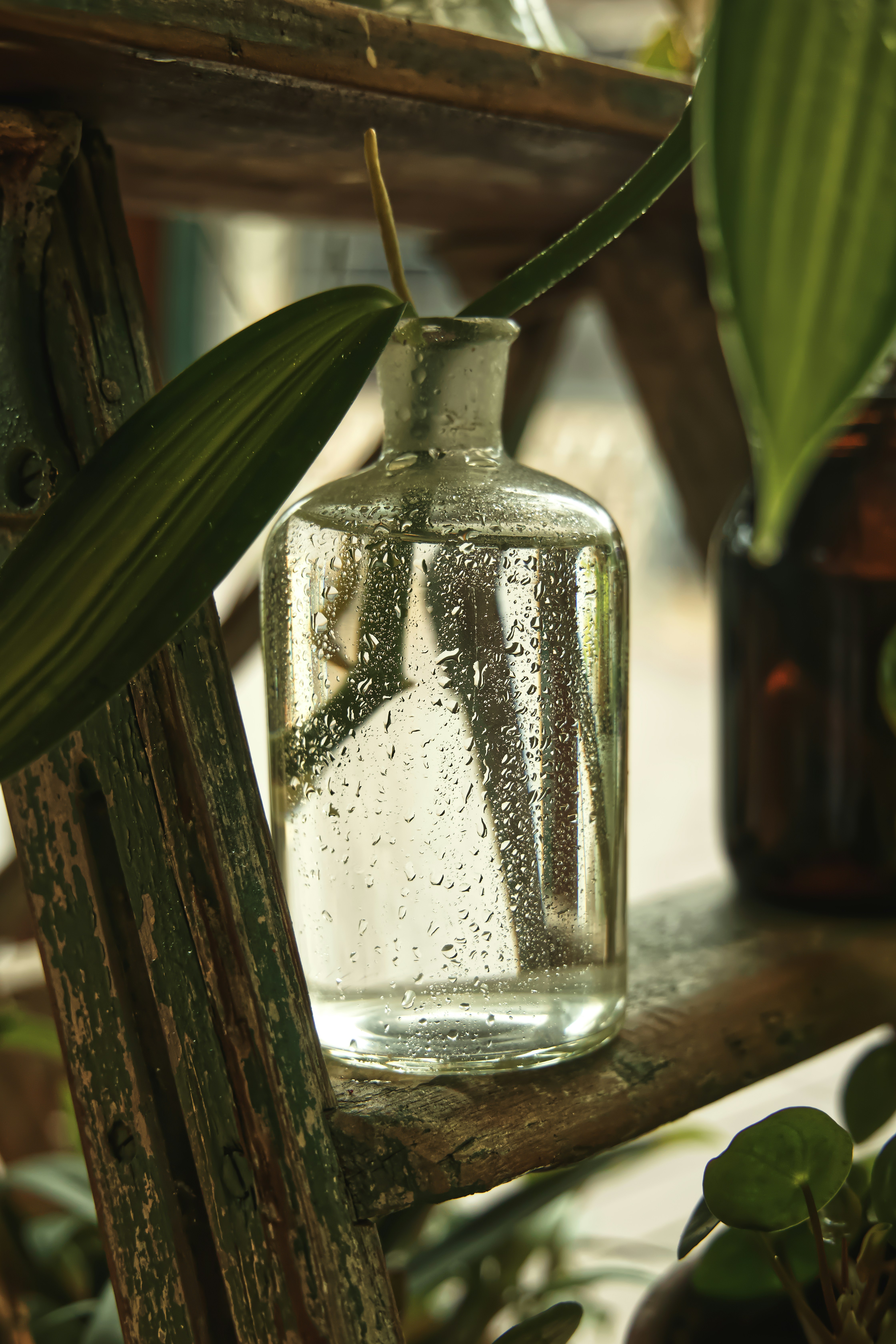 Transparent glass bottle with droplets, reflecting green leaves on a rustic wooden shelf.