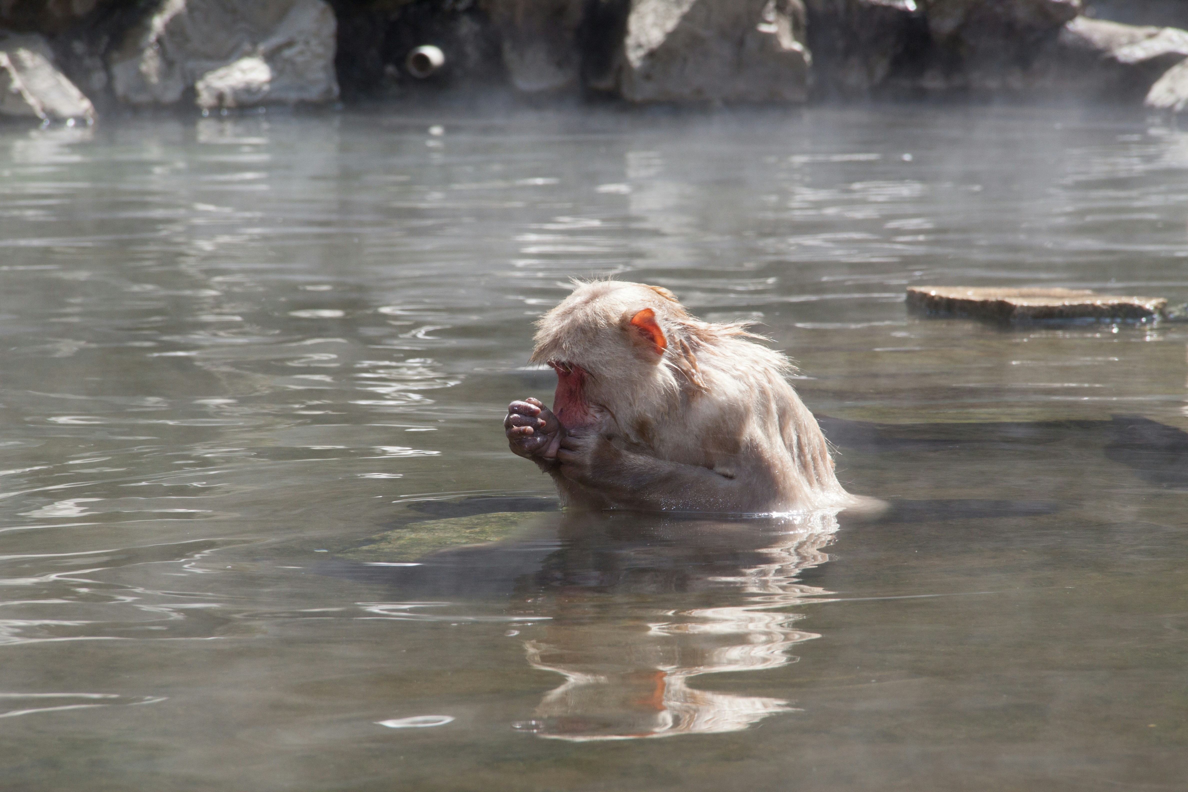 Gentle Bathing in Quiet Waters