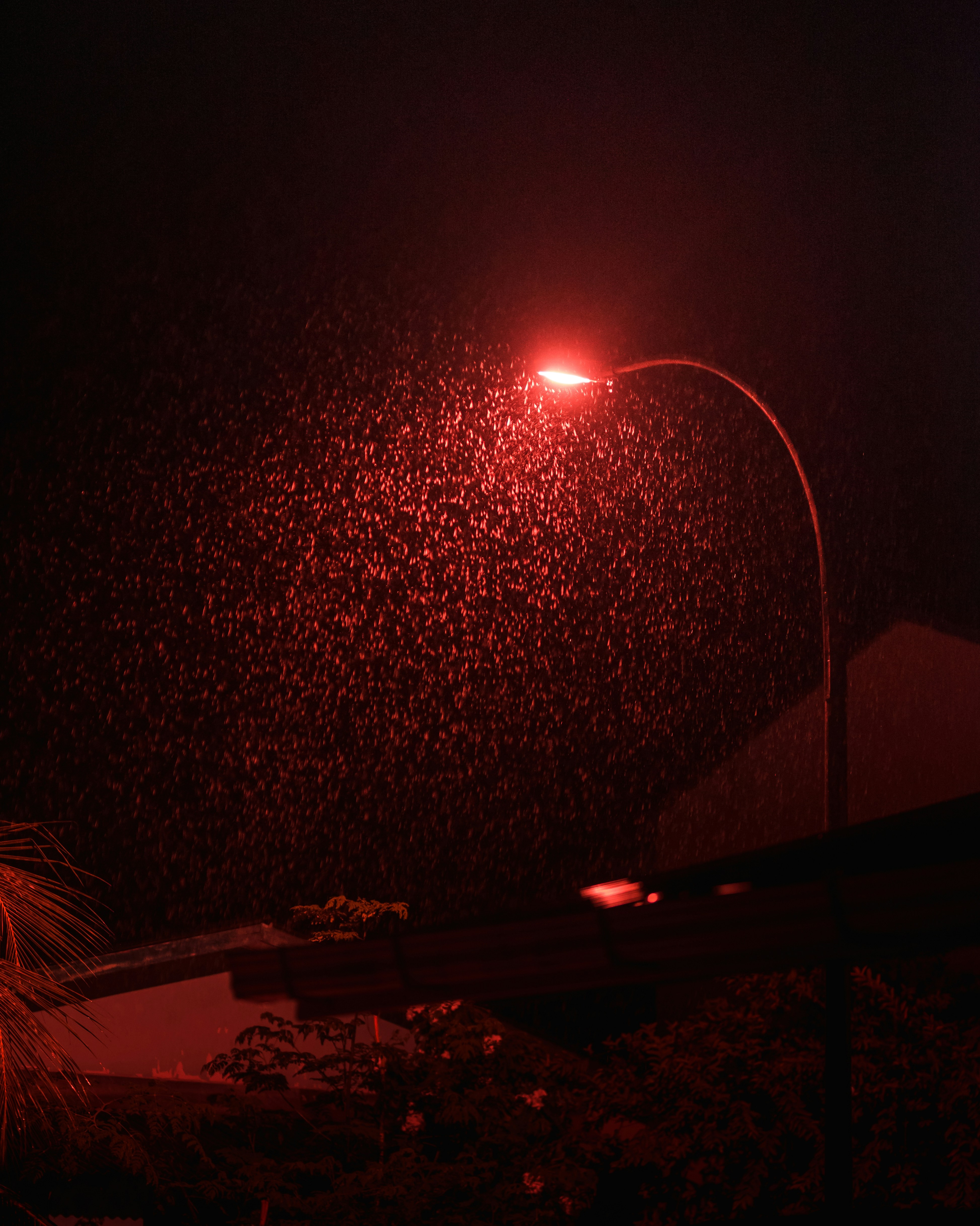 Crimson Snowfall under a Haloed Streetlamp