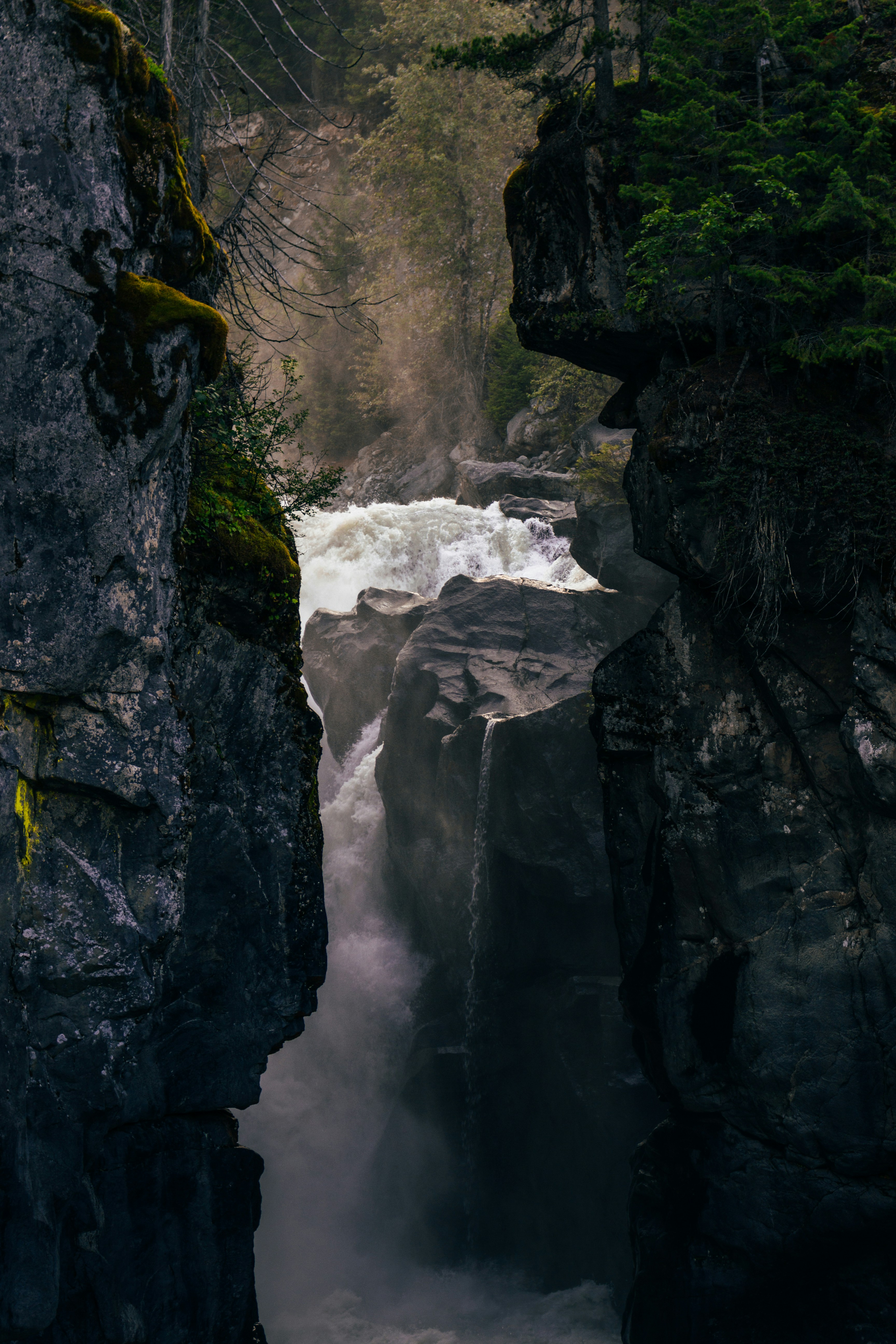 Raging waterfall flows between rocky cliffs, surrounded by lush greenery and mist. Natural light enhances the scene's dramatic atmosphere.
