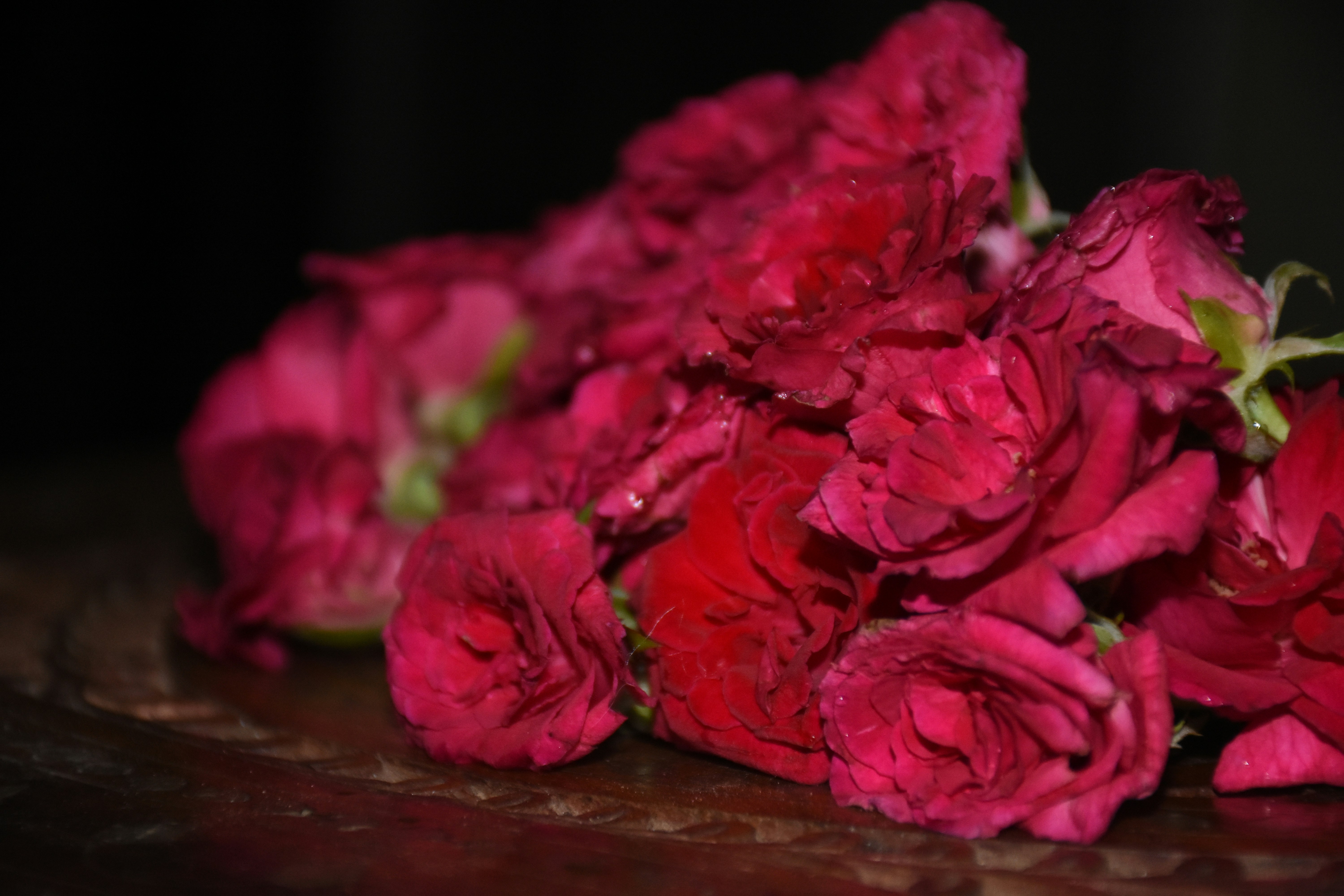 Crimson Velvet: Moonlit Still-Life of Roses