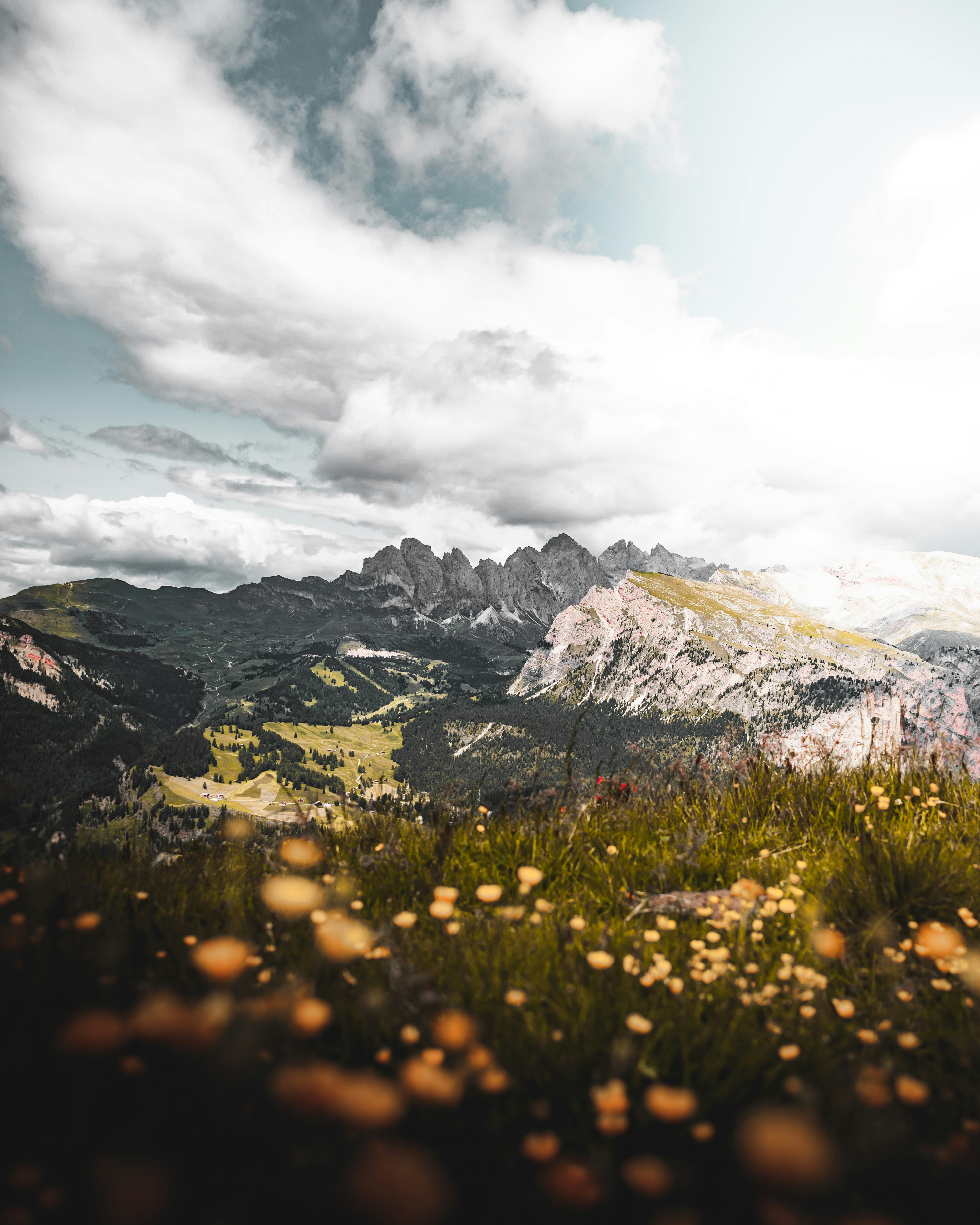 Vibrant wildflowers in the foreground contrast against the majestic Dolomite mountains under a cloudy sky. The scene captures the tranquility of nature.