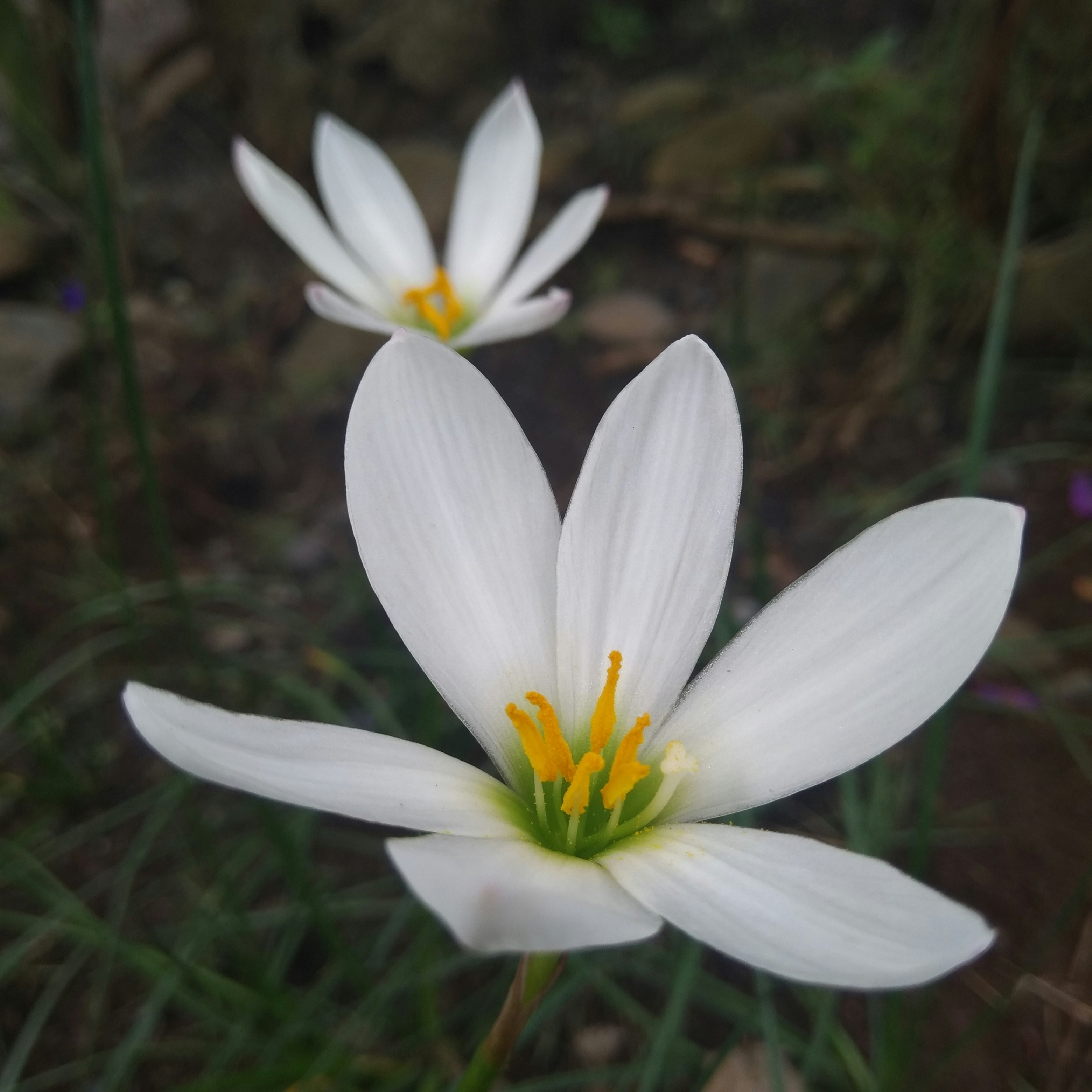 RD May Gonzaga (@yamrdpurpleyiee) | Unsplash Photo Community