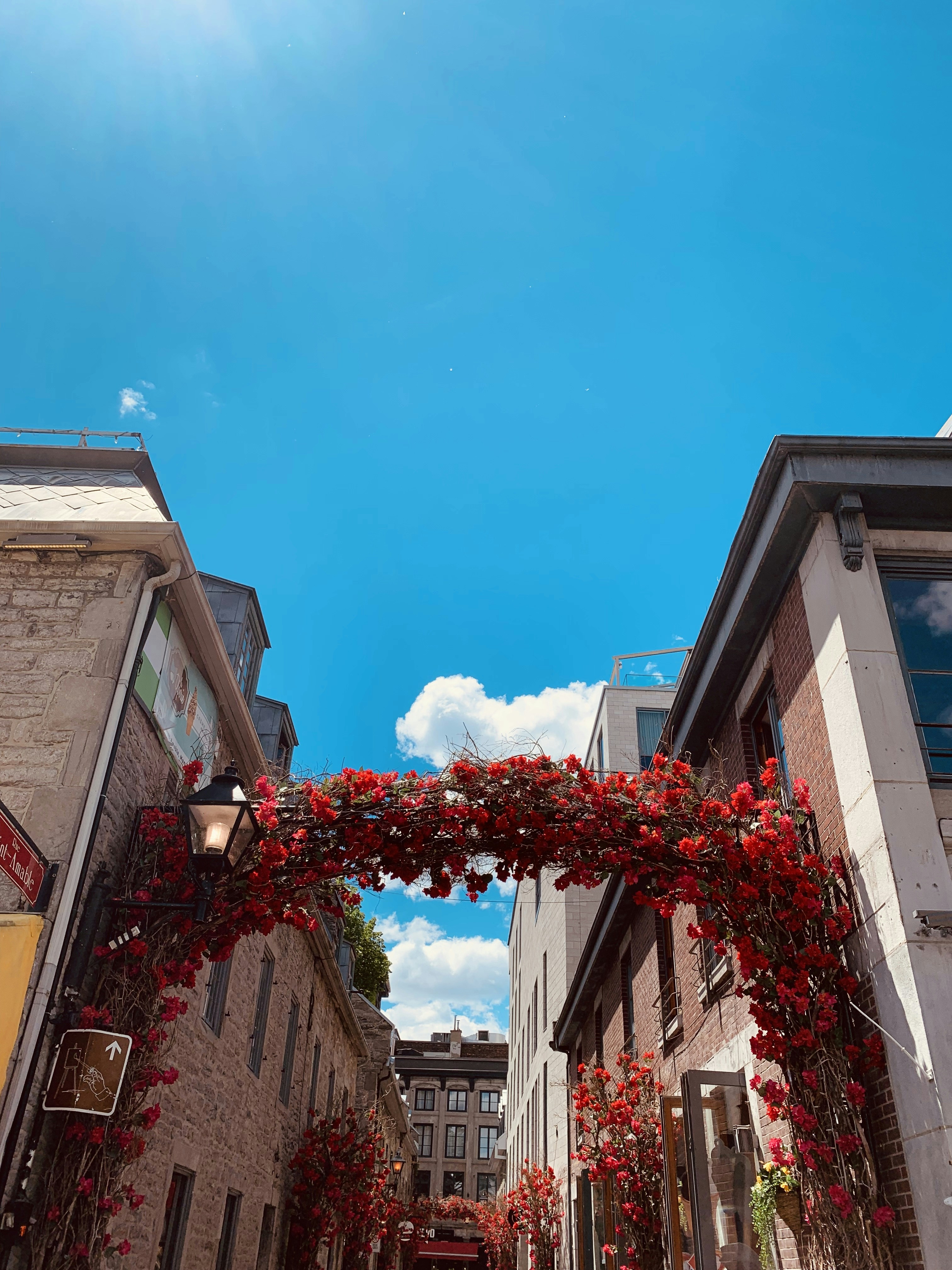 Crimson Arch over Sunlit Courtyard