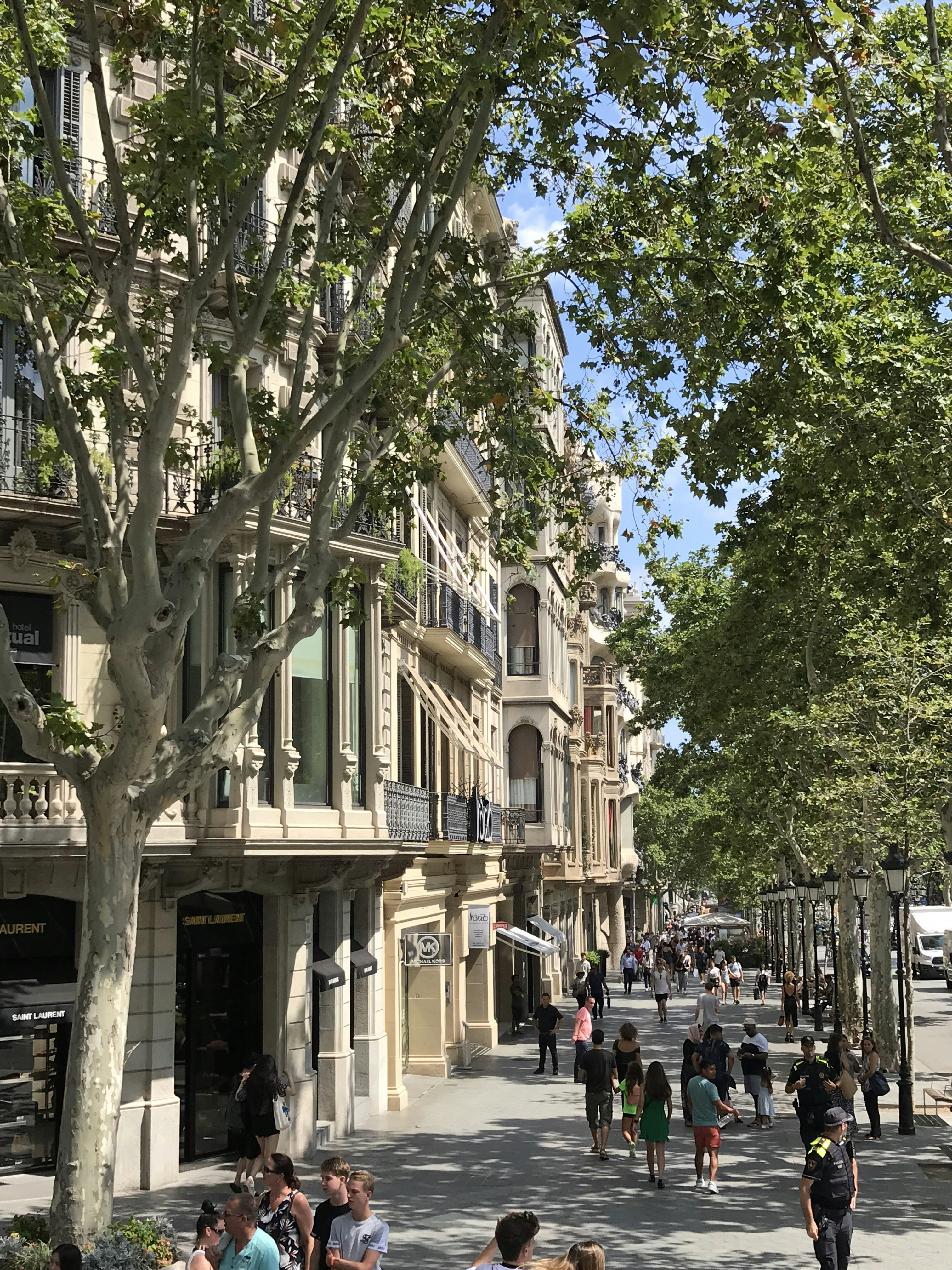 Busy street scene showcasing elegant architecture and vibrant pedestrian life under a canopy of trees.