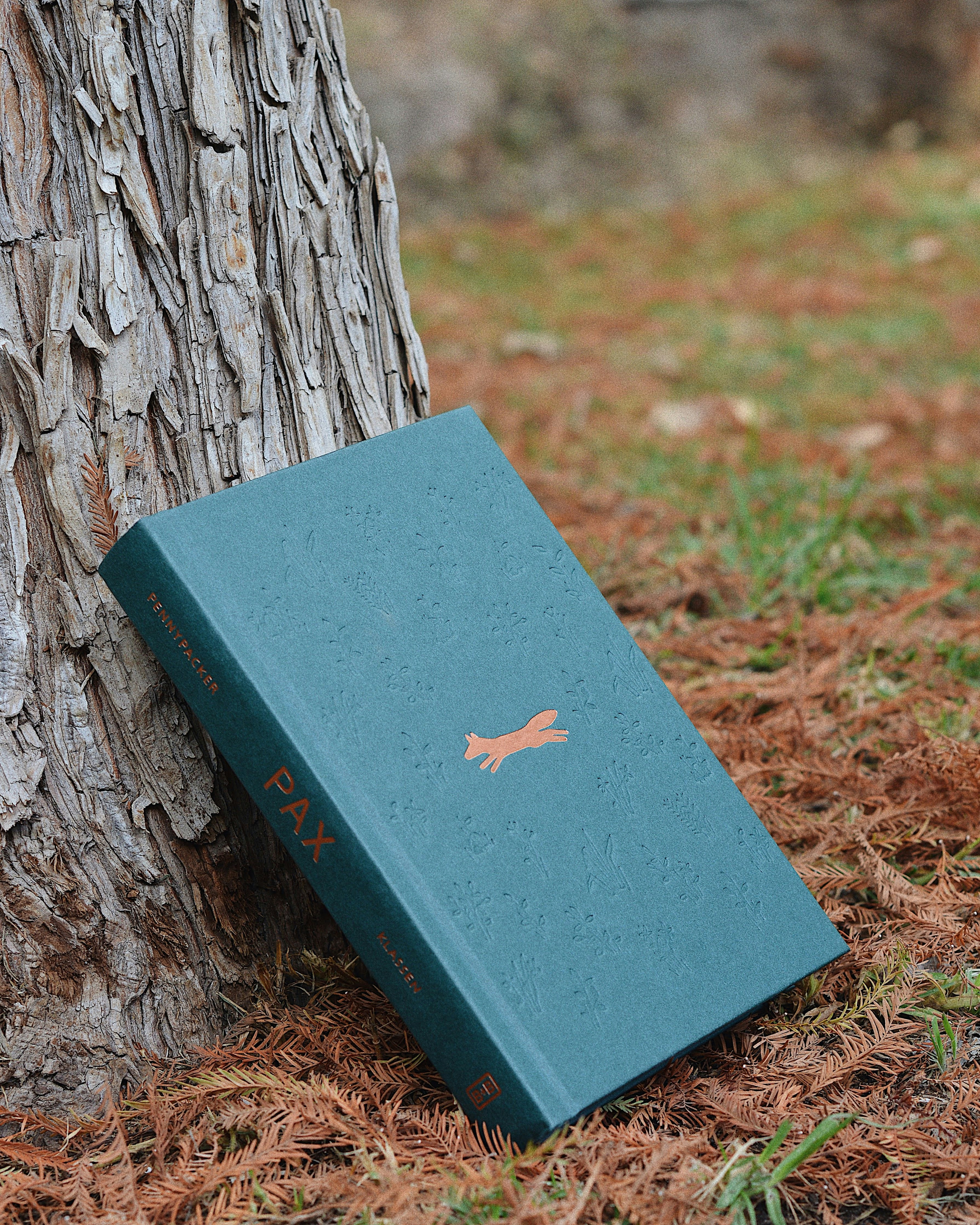 Teal PAX: A Quiet Tale Leaning Against an Old Tree