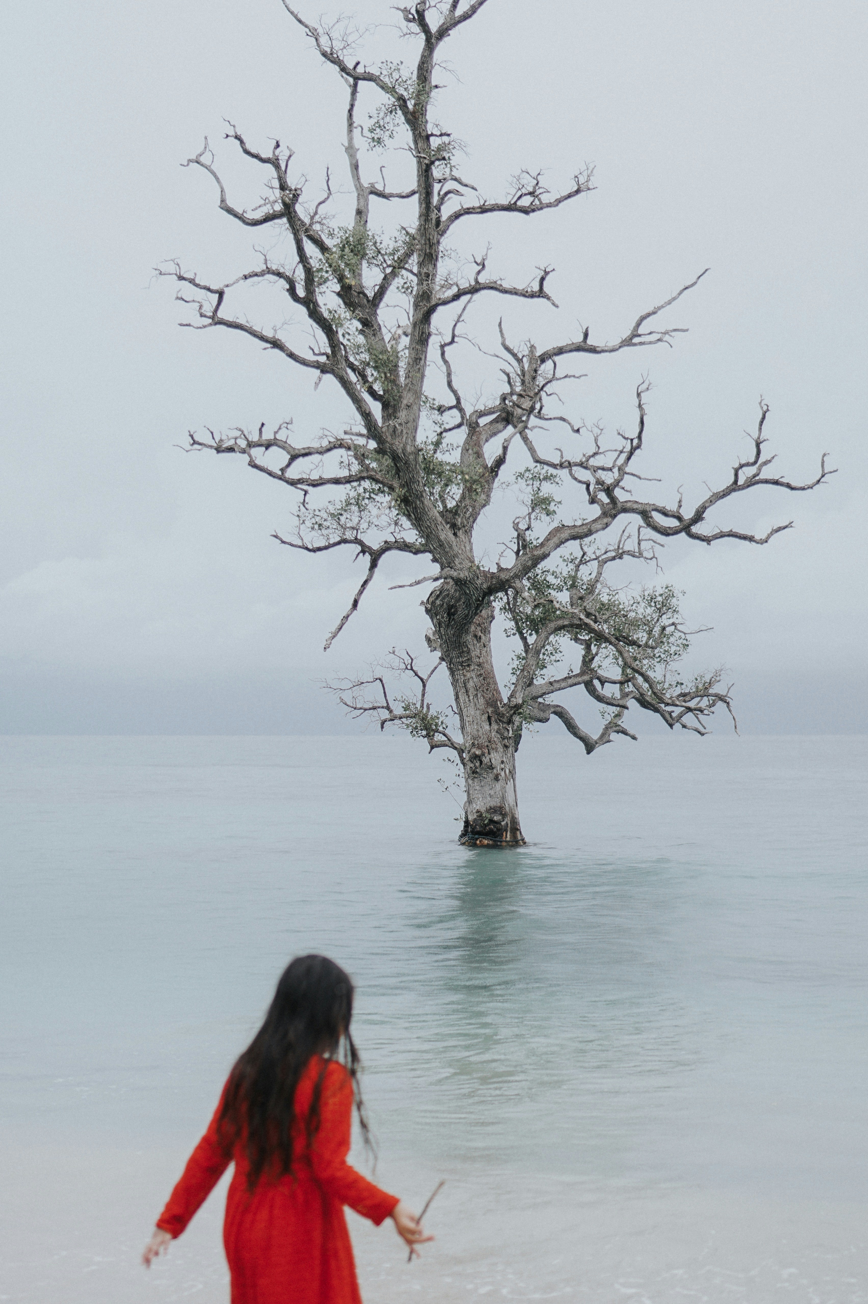 Red passion | 100+ best free photos on Unsplash