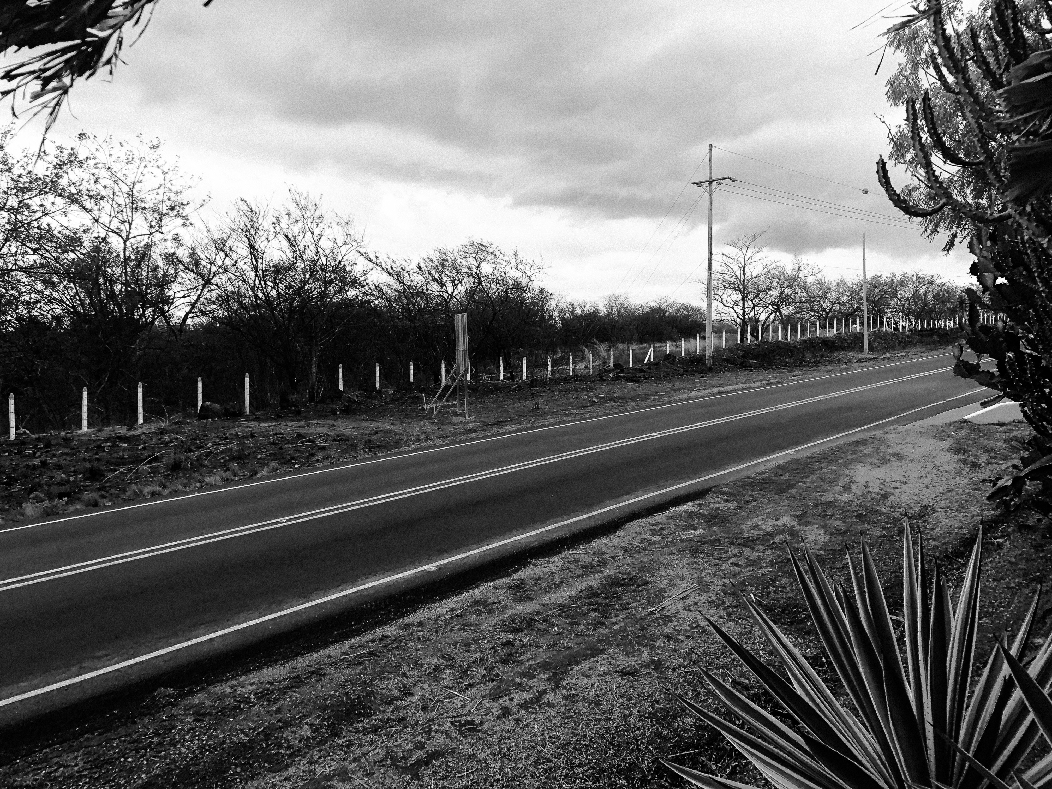 Grayscale photo of road photo – Free Guanacaste province Image on Unsplash