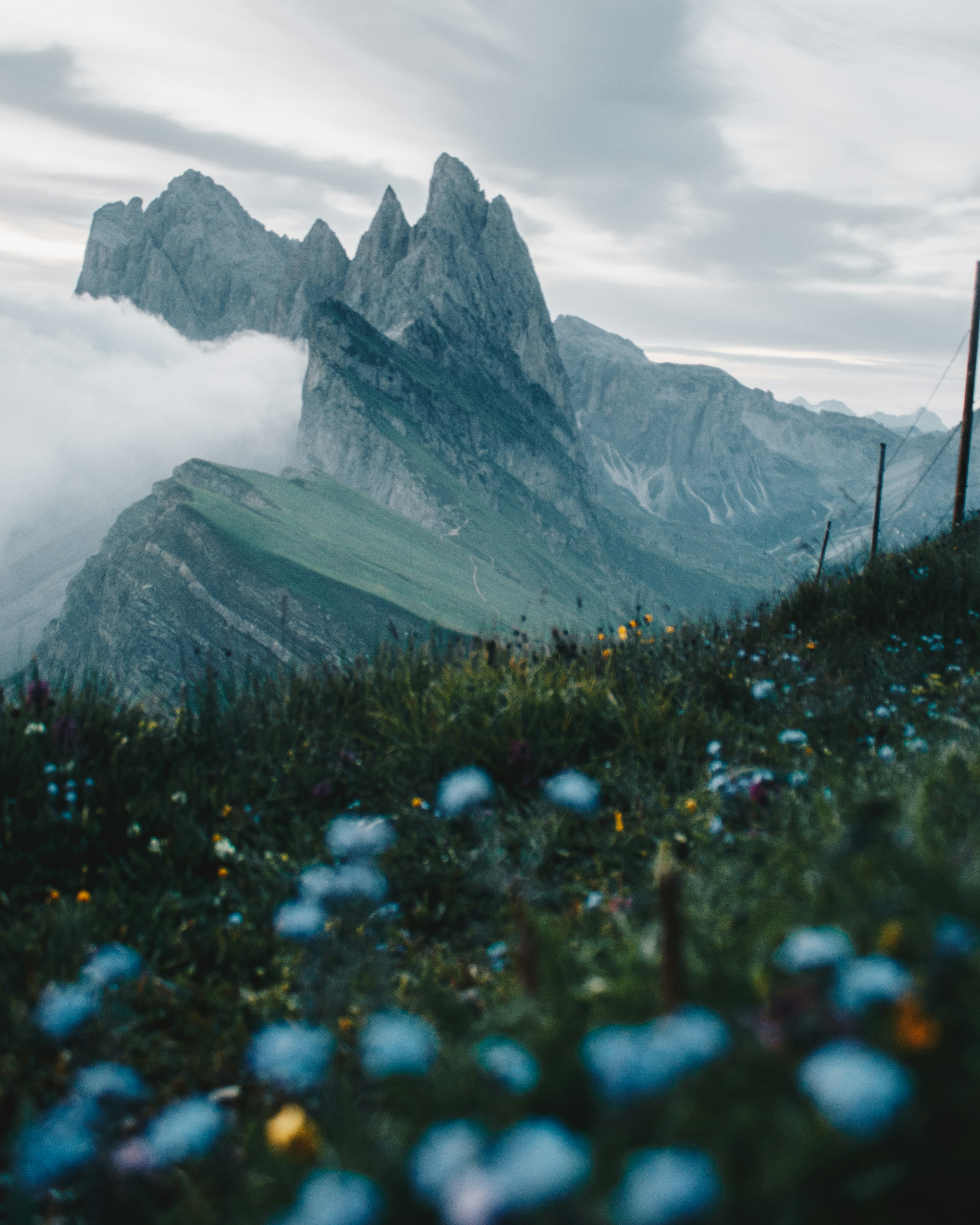 Majestic mountain range shrouded in mist, with vibrant wildflowers in the foreground. The scene captures a serene blend of nature's grandeur and delicate beauty.