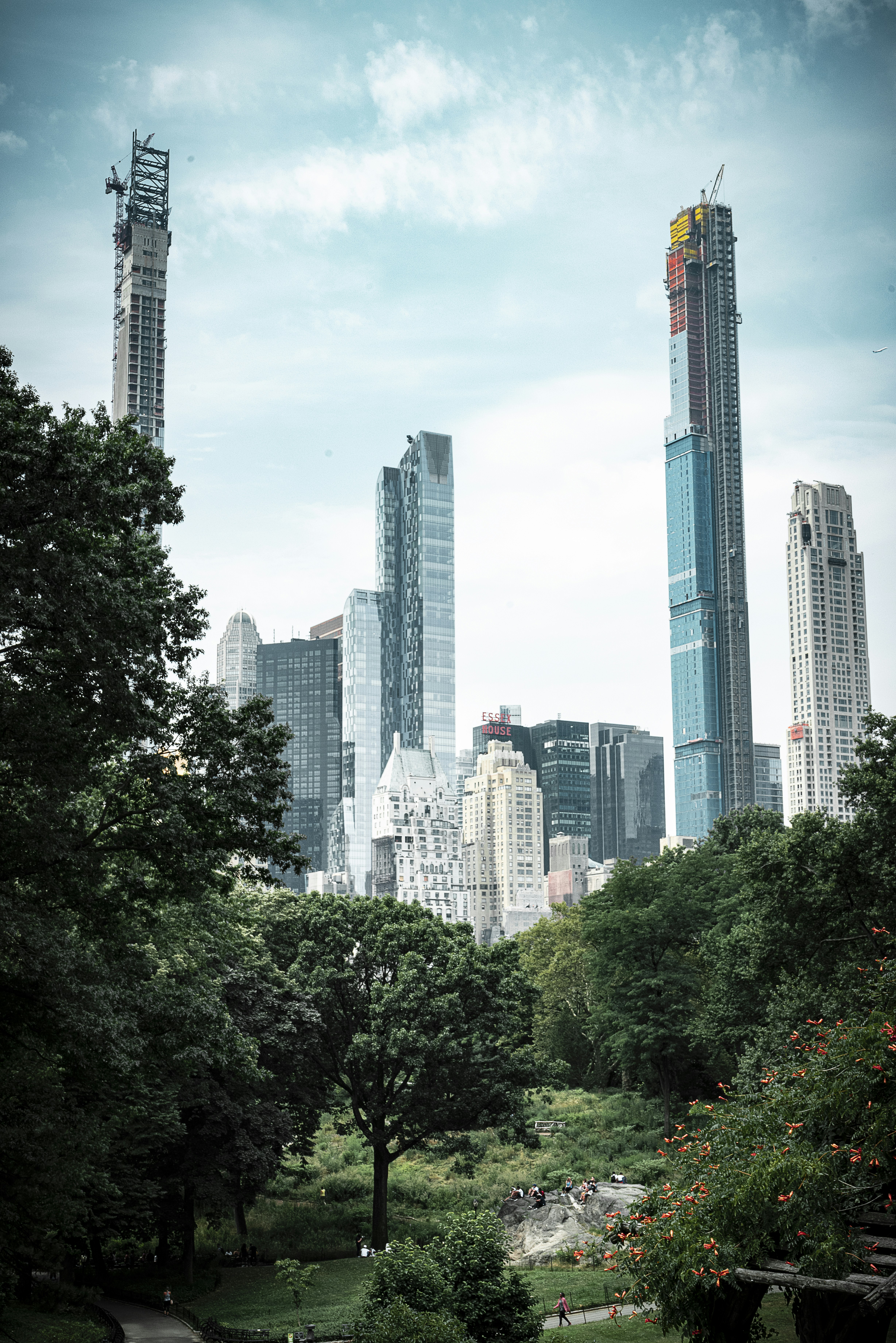 Green trees near buildings at daytime photo – Free Urban Image on Unsplash