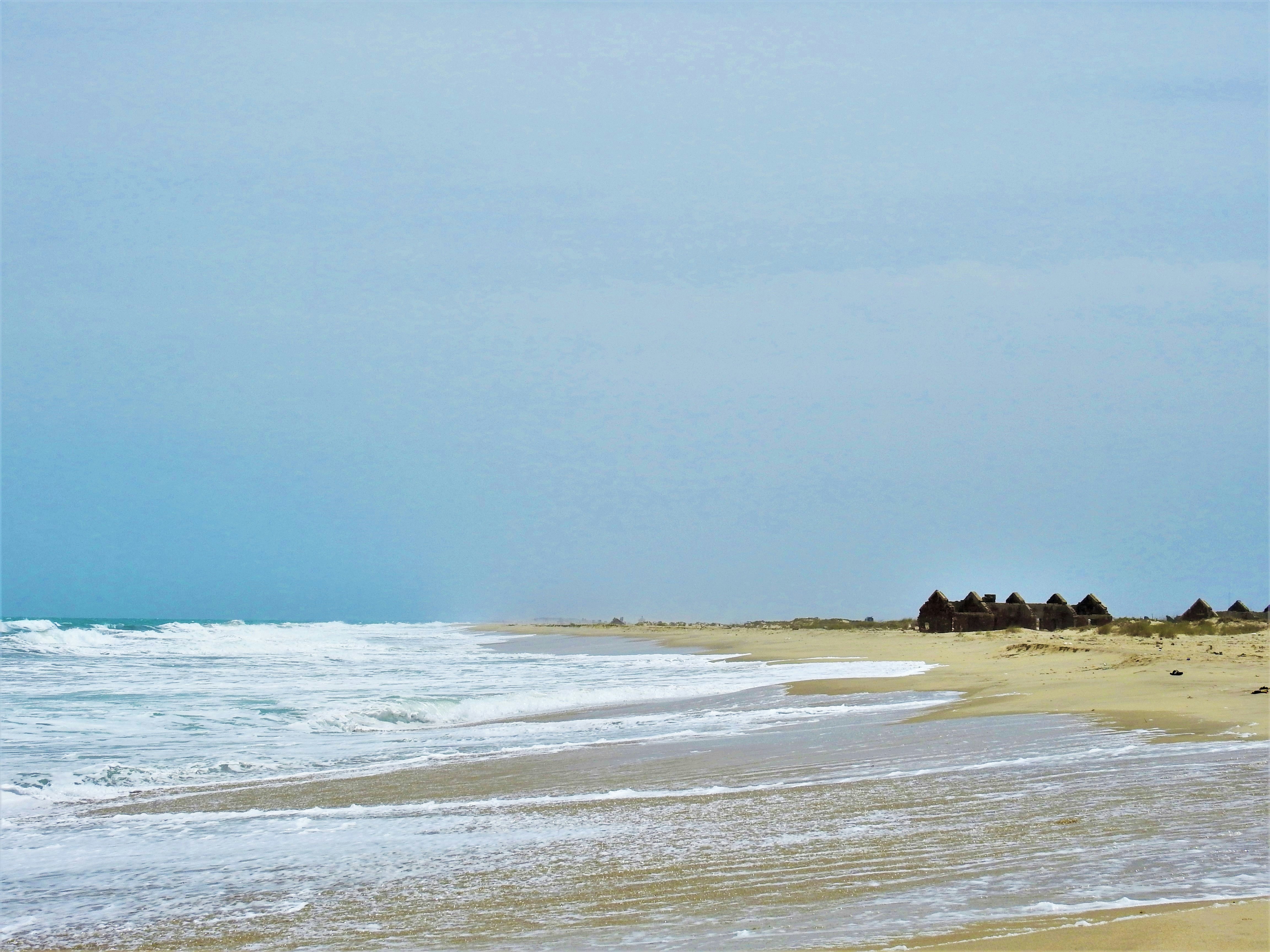 Photography of seashore during daytime photo – Free Palk strait(indian ...
