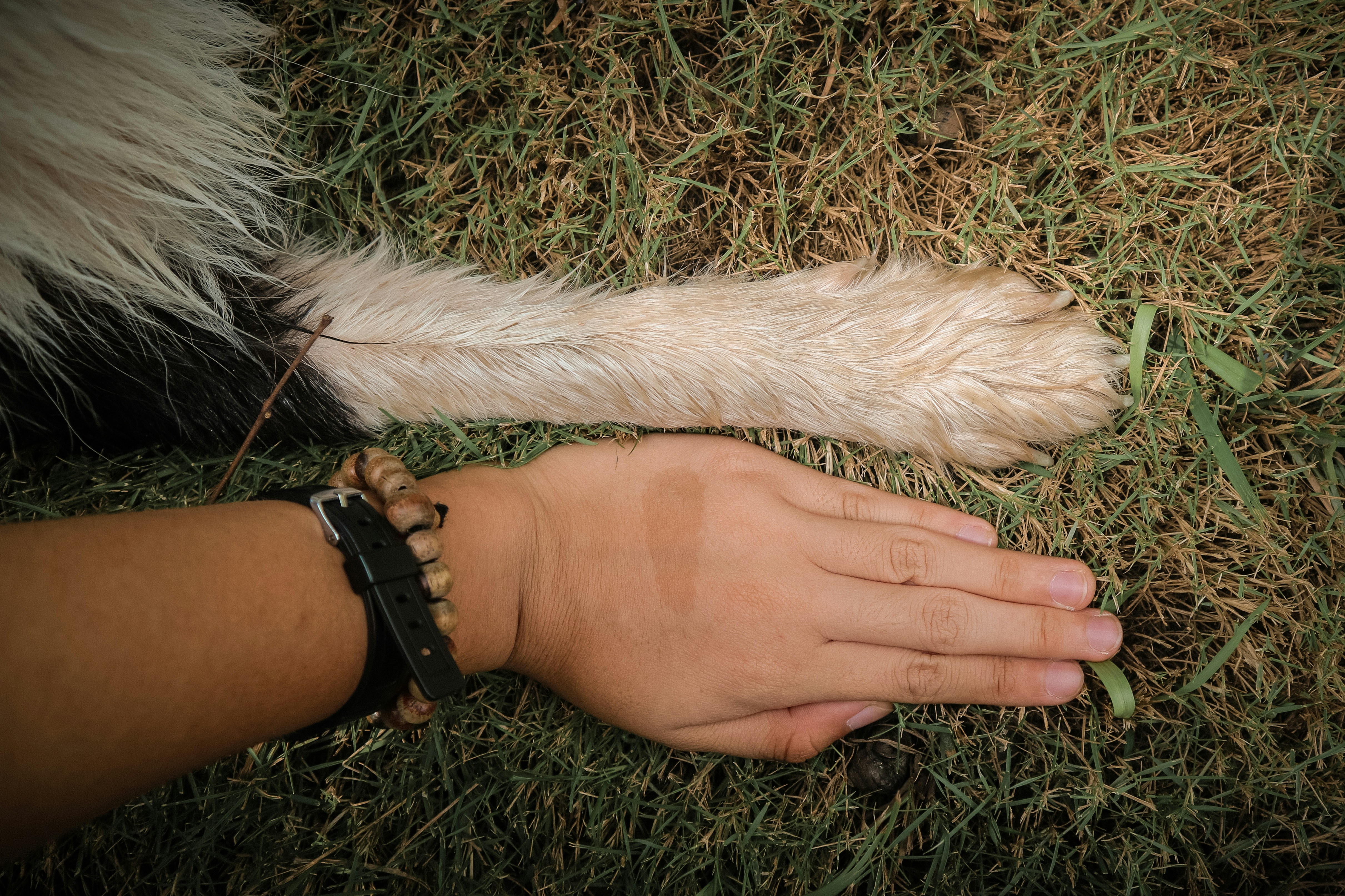 Hand and Hand