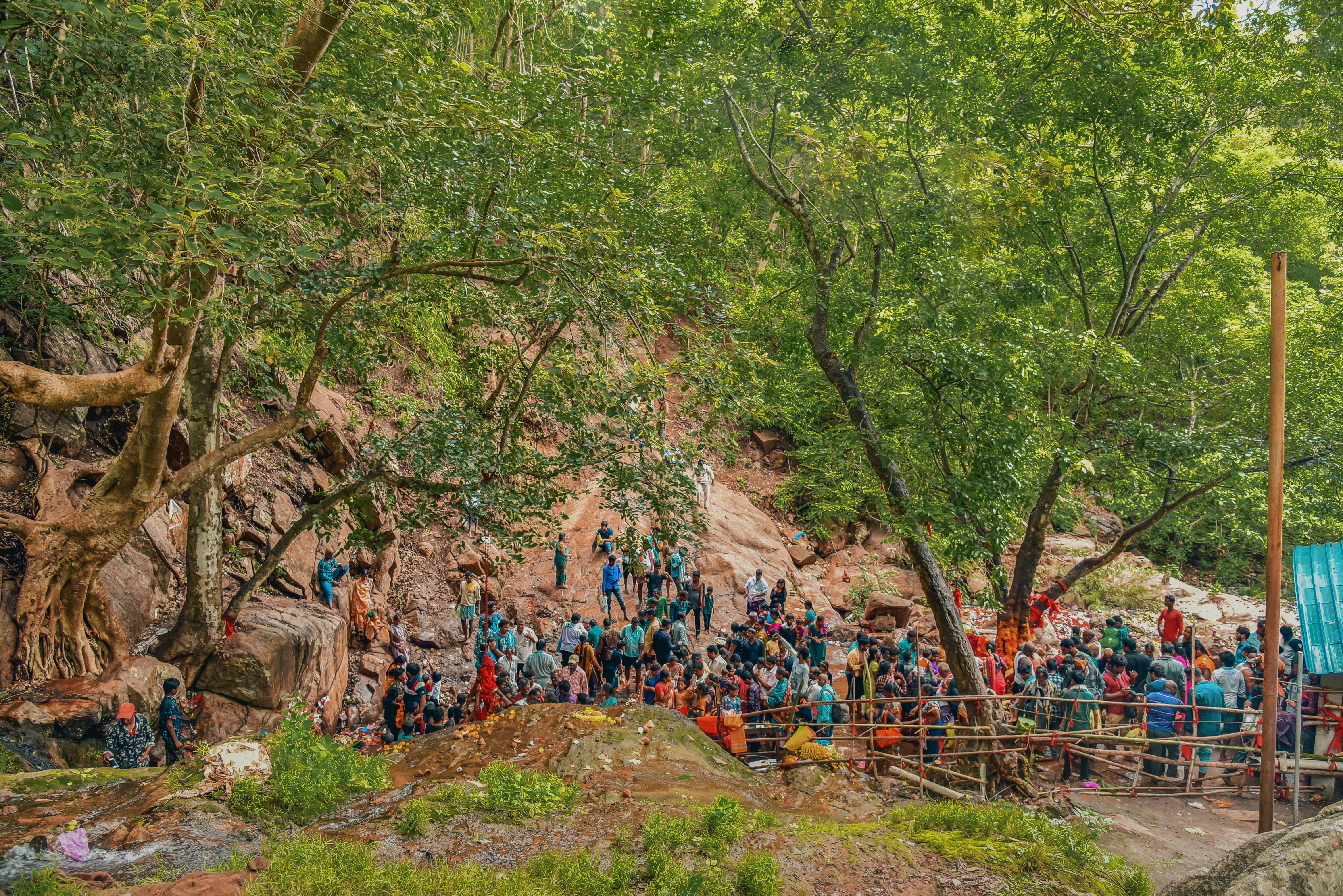 People near tree photo – Free India Image on Unsplash