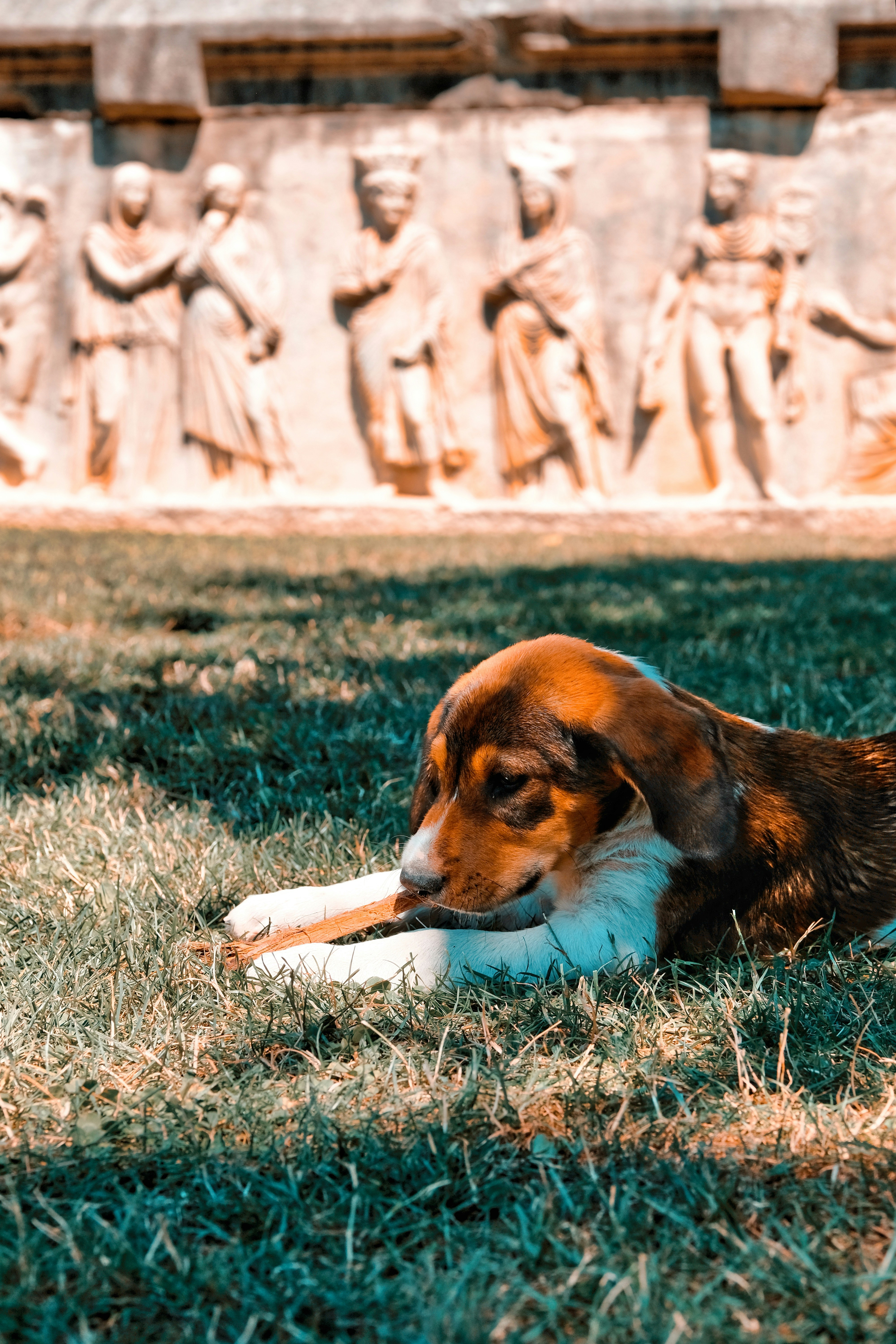 Sunlit Pause Before Marble Relief