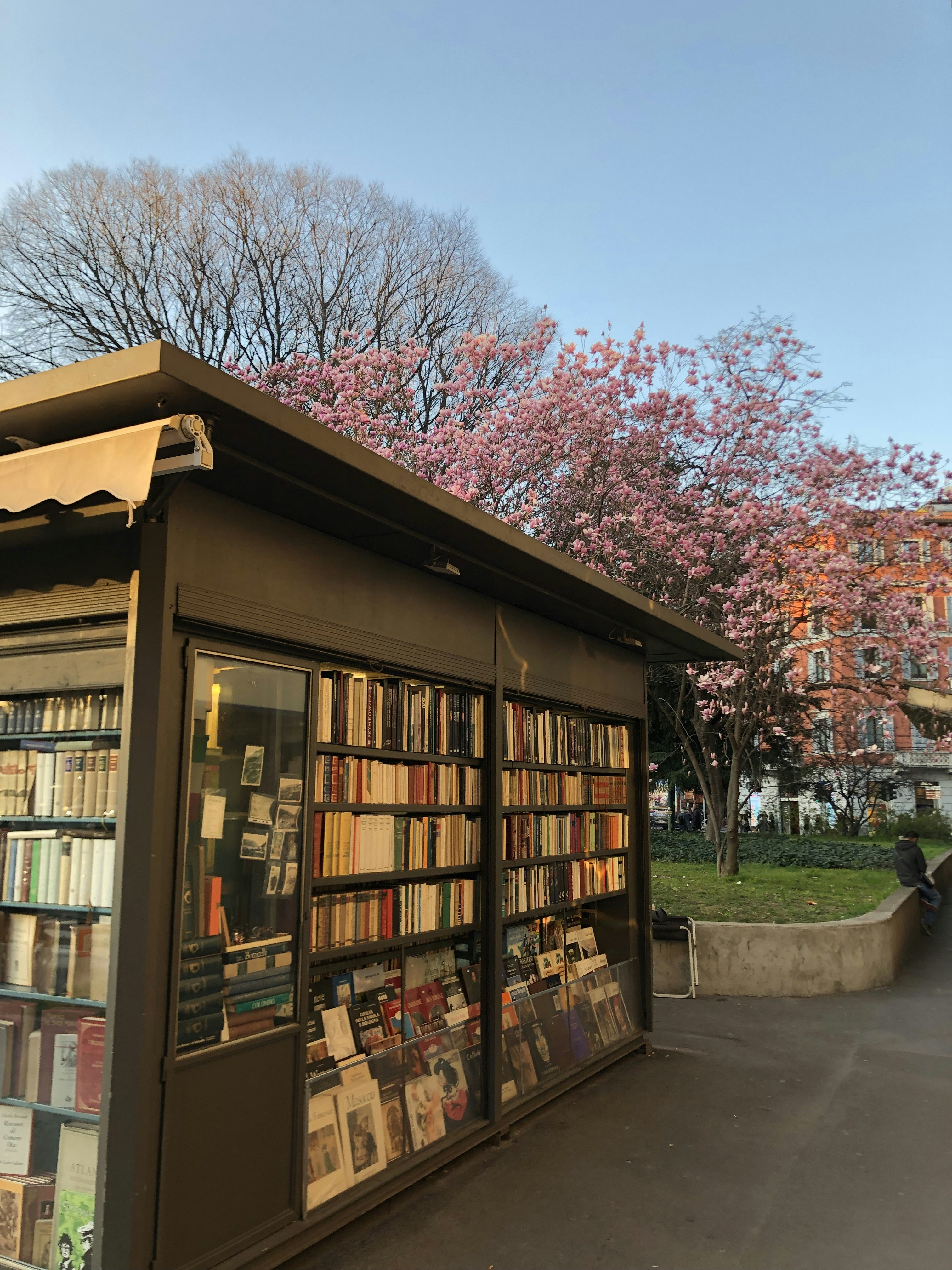 Anastasia (@s_anastasia) | Comunidad de fotos de Unsplash