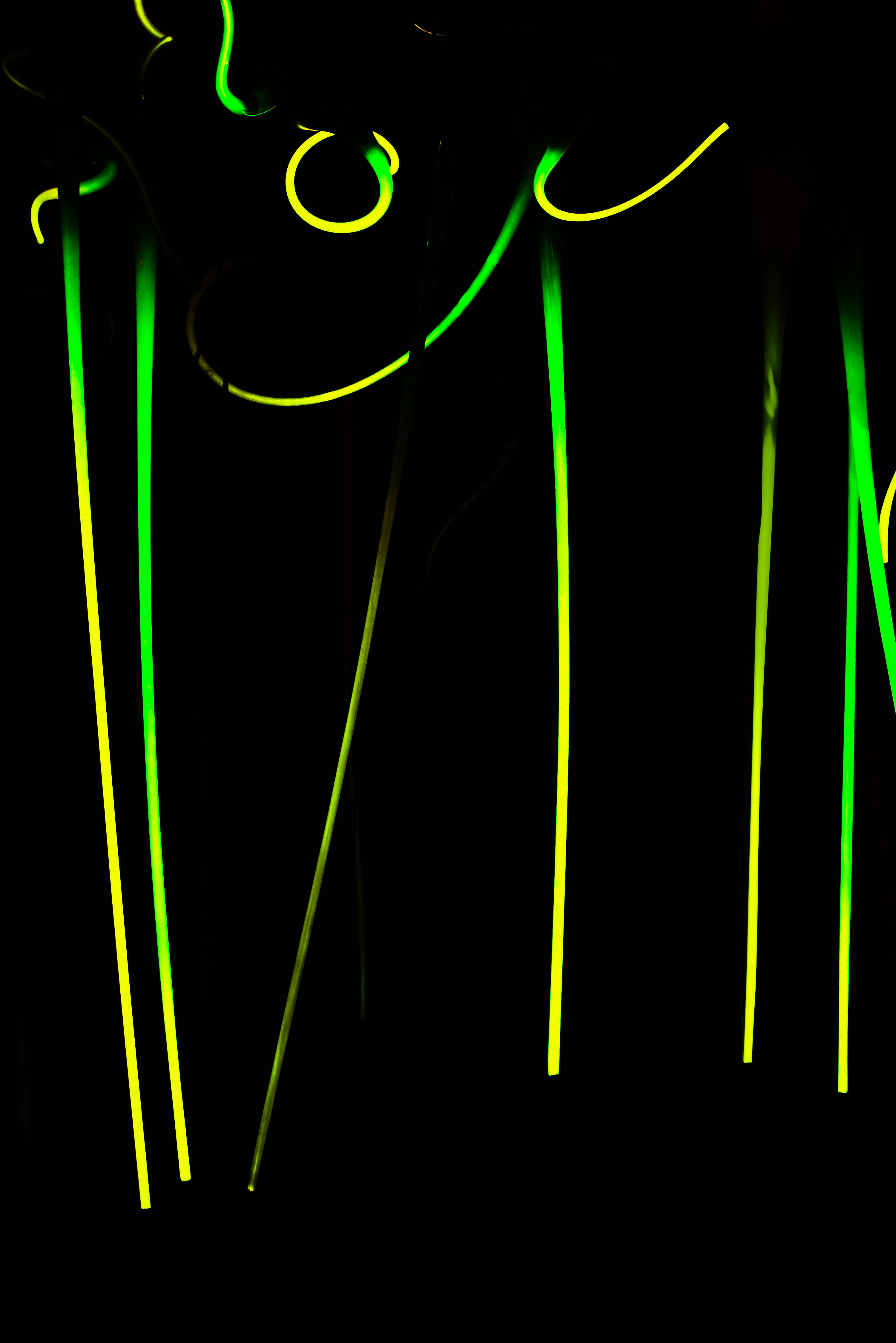 Green and yellow line illustration photo – Free Bow Image on Unsplash