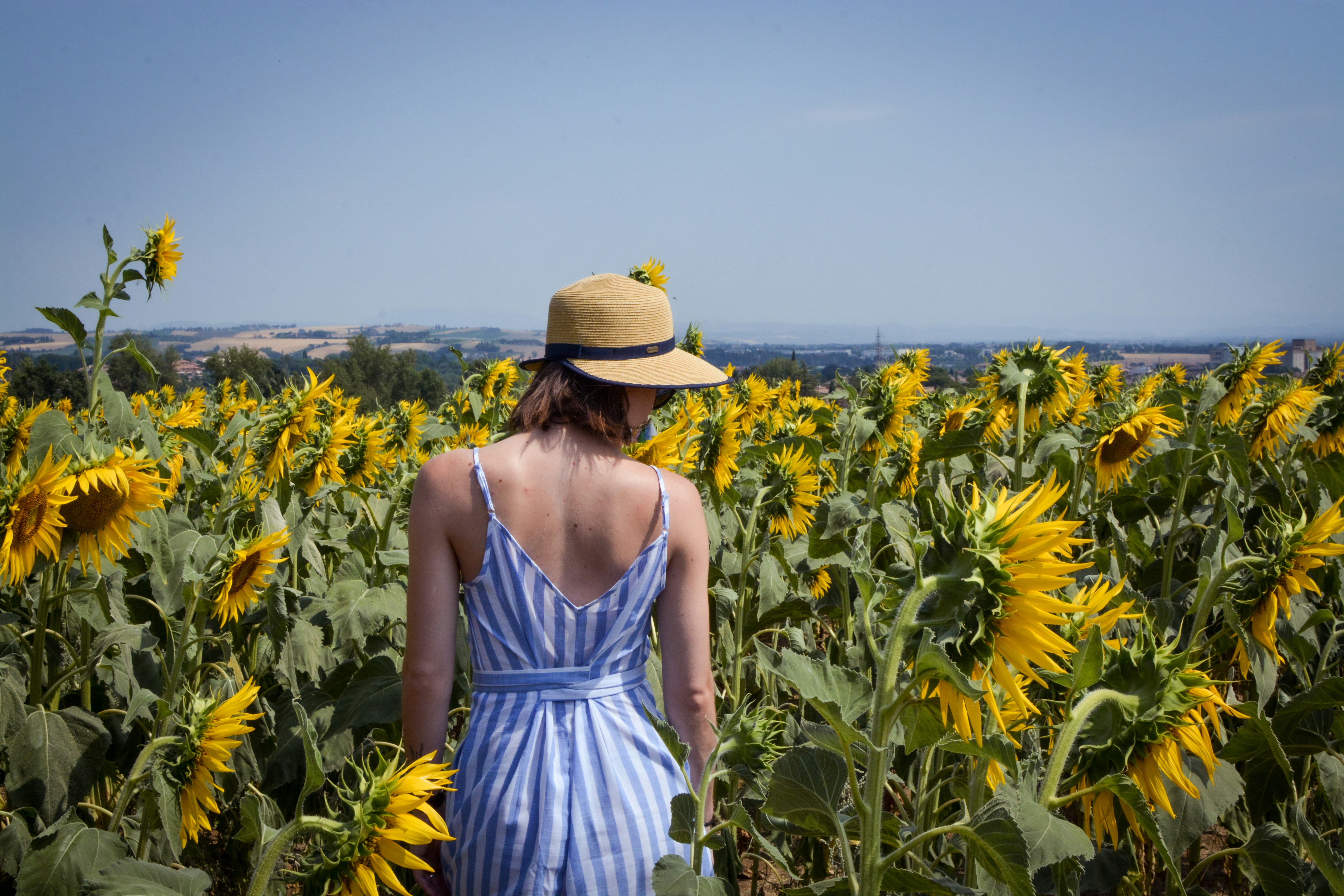 Sunflower fields in sundresses and sunhats. Exploring through Umbria, Italy | unknown person standing on sunflower field