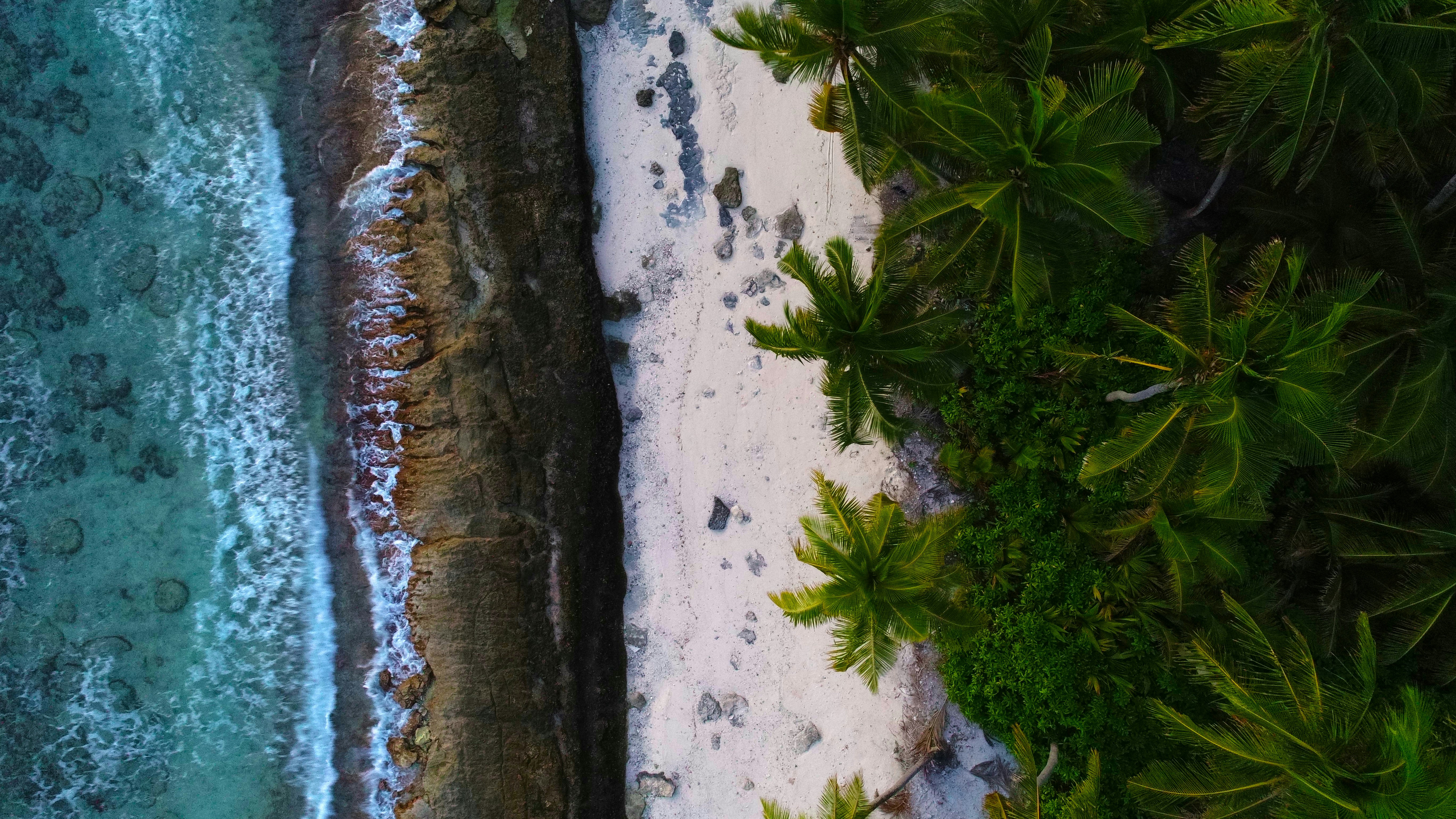 Aerial view of a tranquil beach bordered by lush palm trees and rocky shoreline, showcasing the vibrant blues of the ocean and the soft white sands.