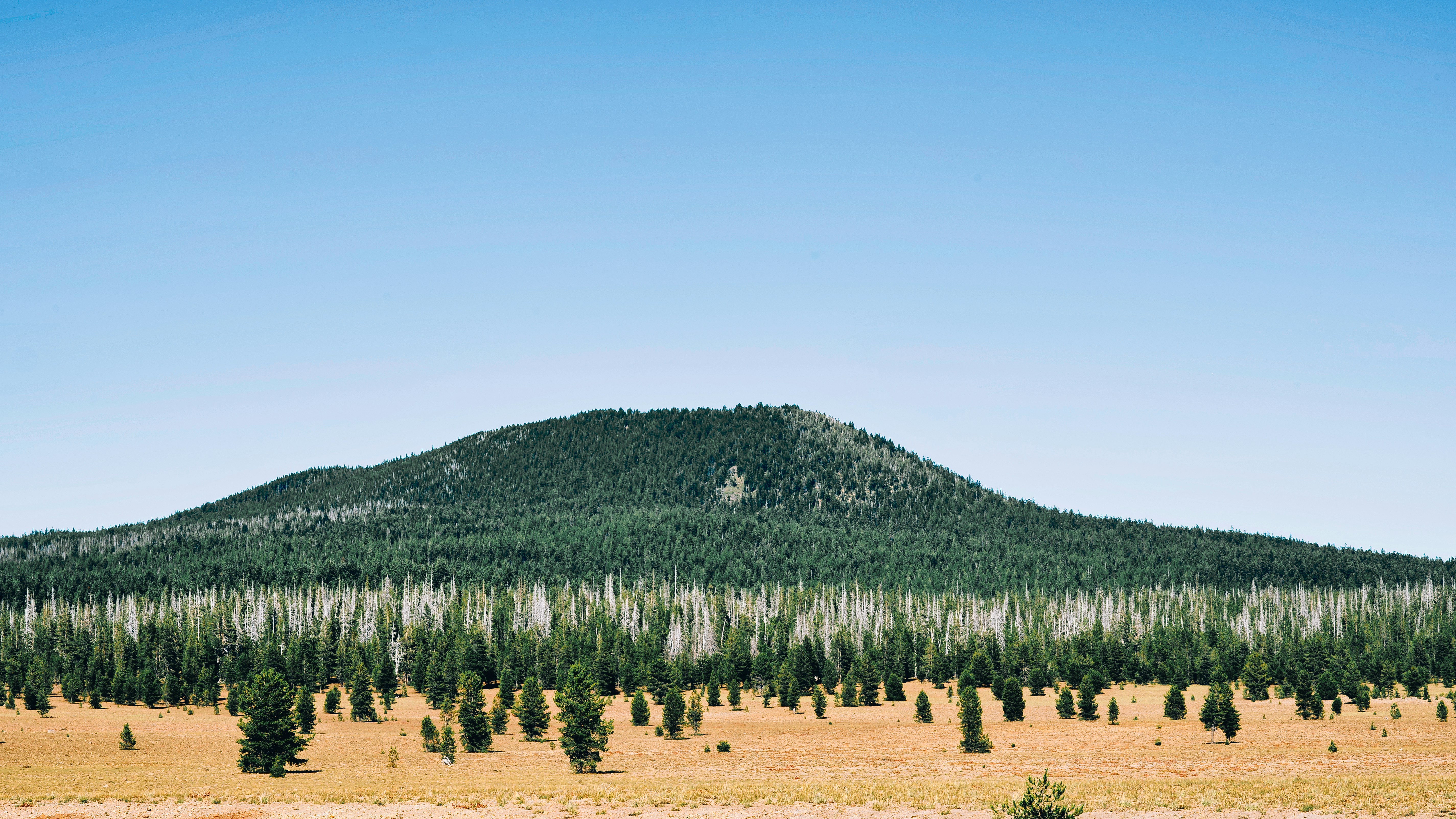 Crater Lake National Park outside the crater.