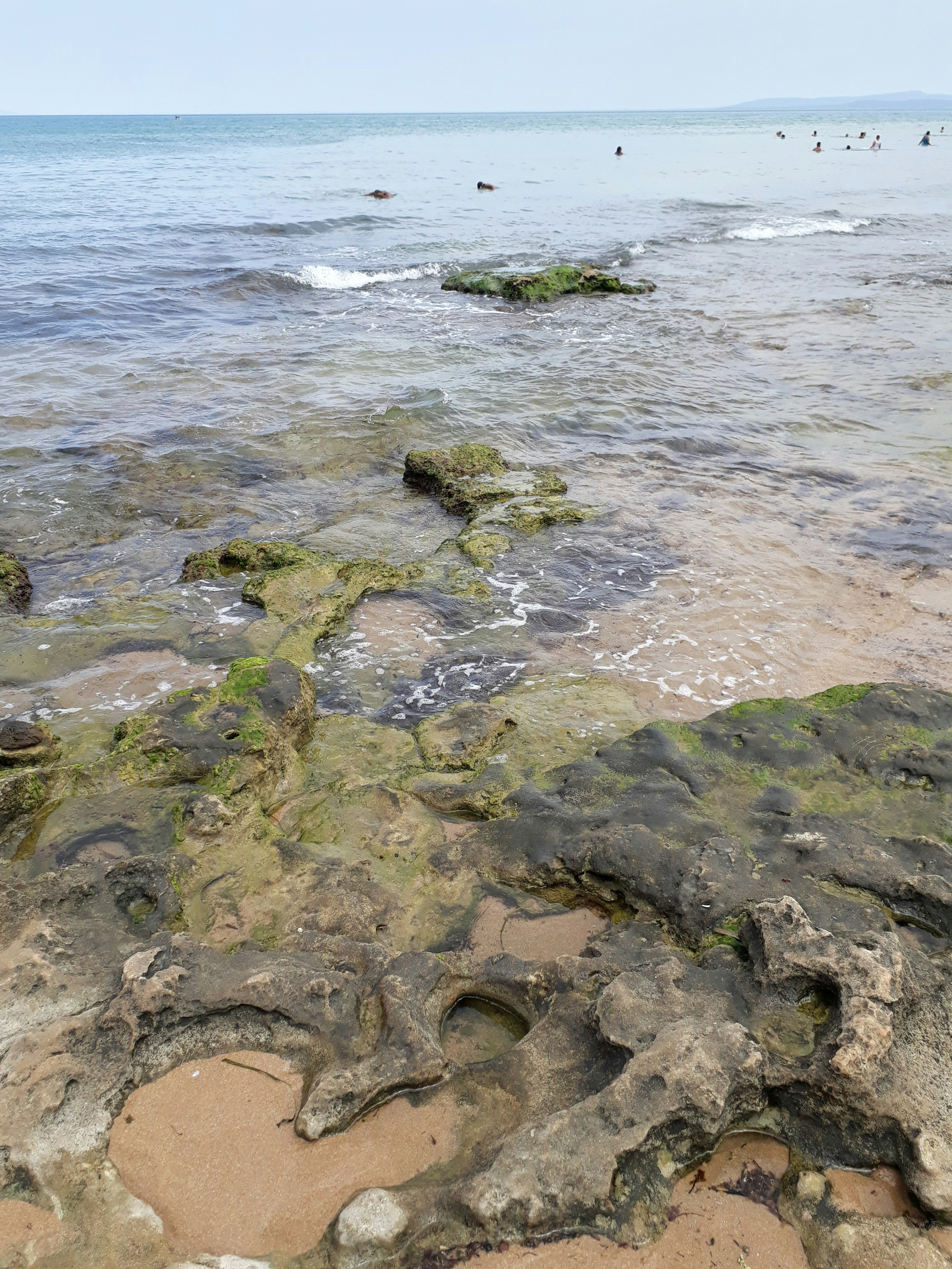 Rugged coastal rocks adorned with patches of green moss, meeting gentle waves under a clear sky. The scene captures the dynamic interplay between land and sea.