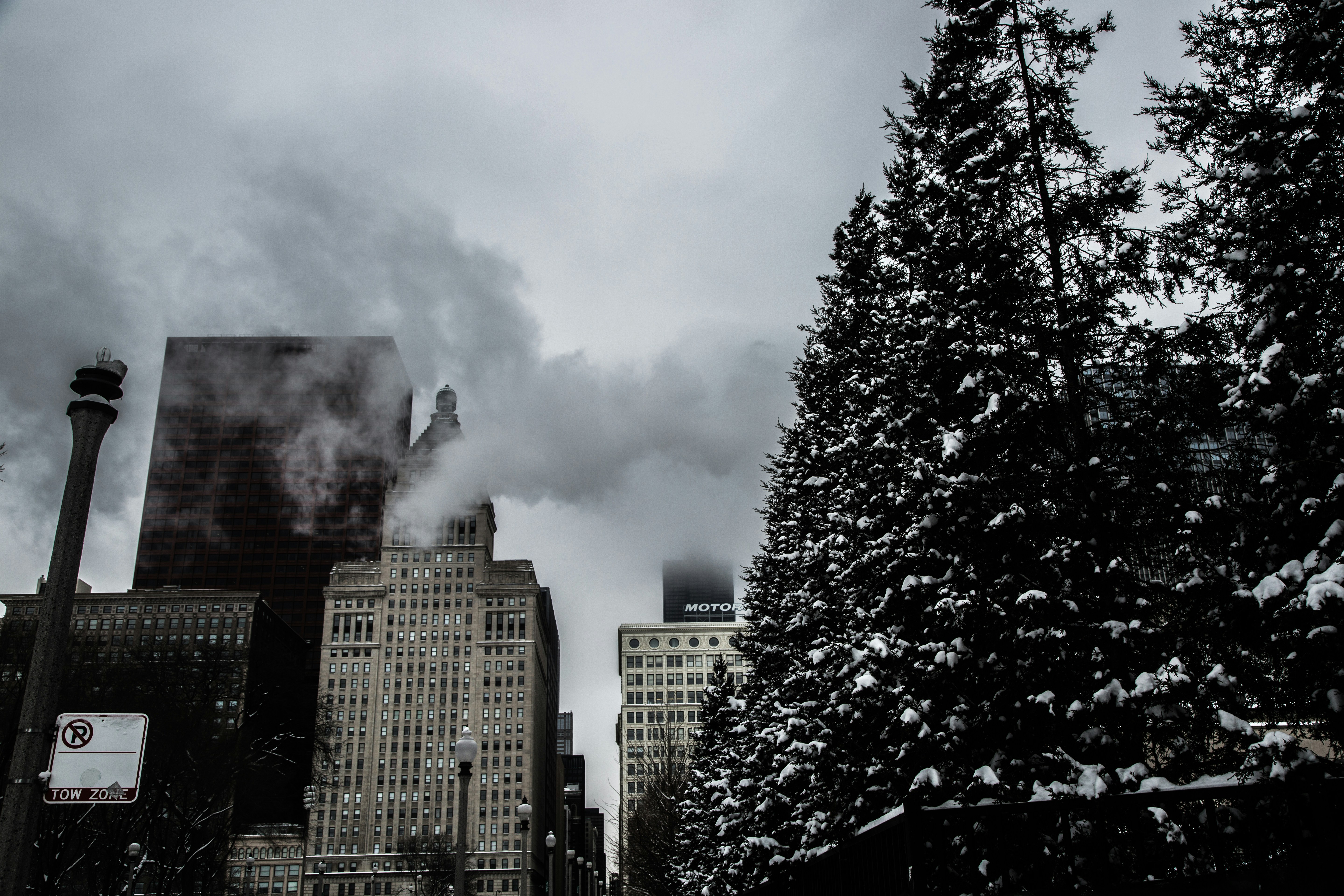 Snow-covered trees frame towering skyscrapers shrouded in clouds, capturing the essence of a cold urban landscape.