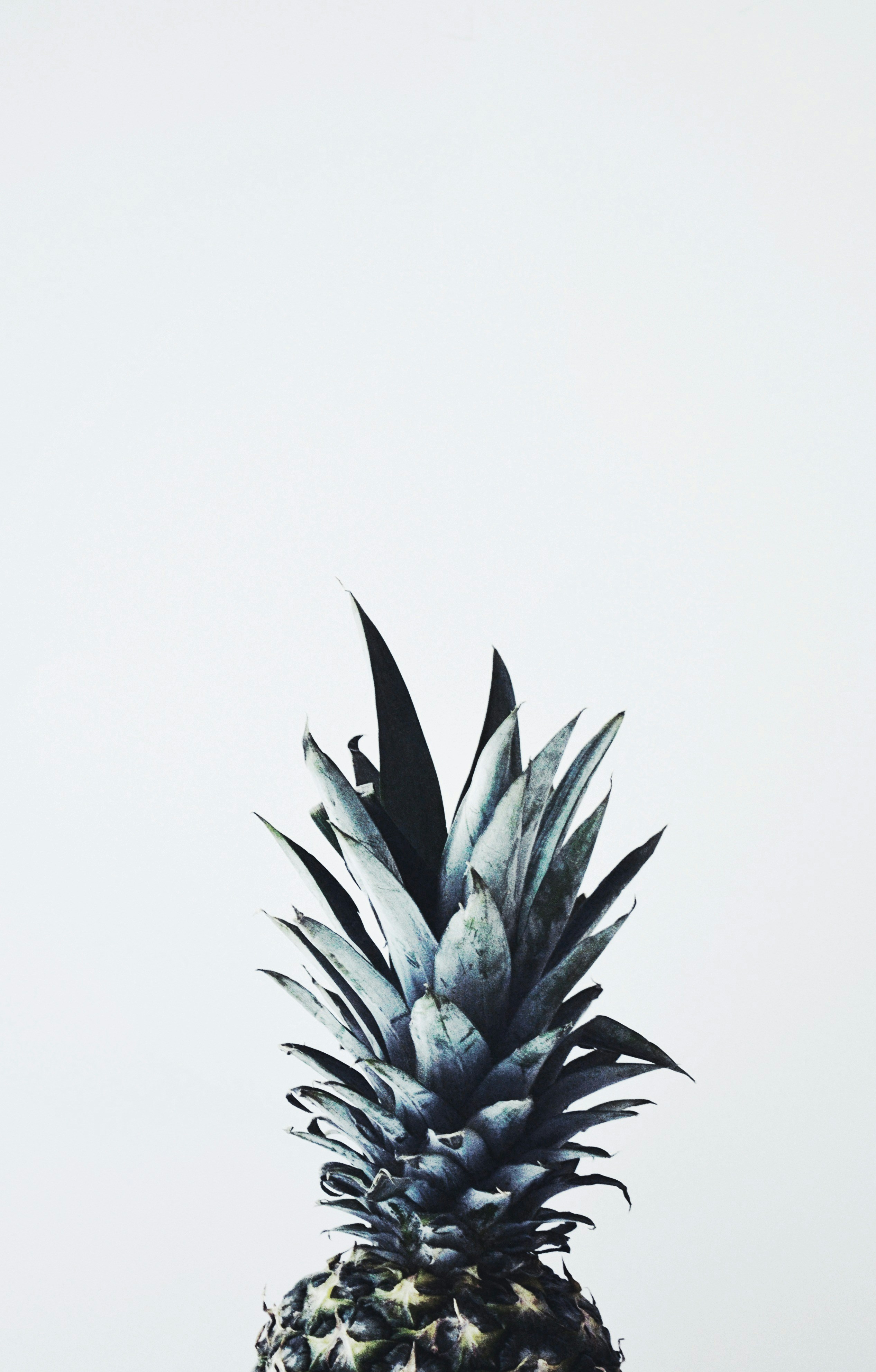 Black And White Pineapple Tumblr