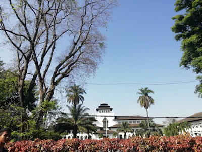 Architectural Harmony Amidst Nature
