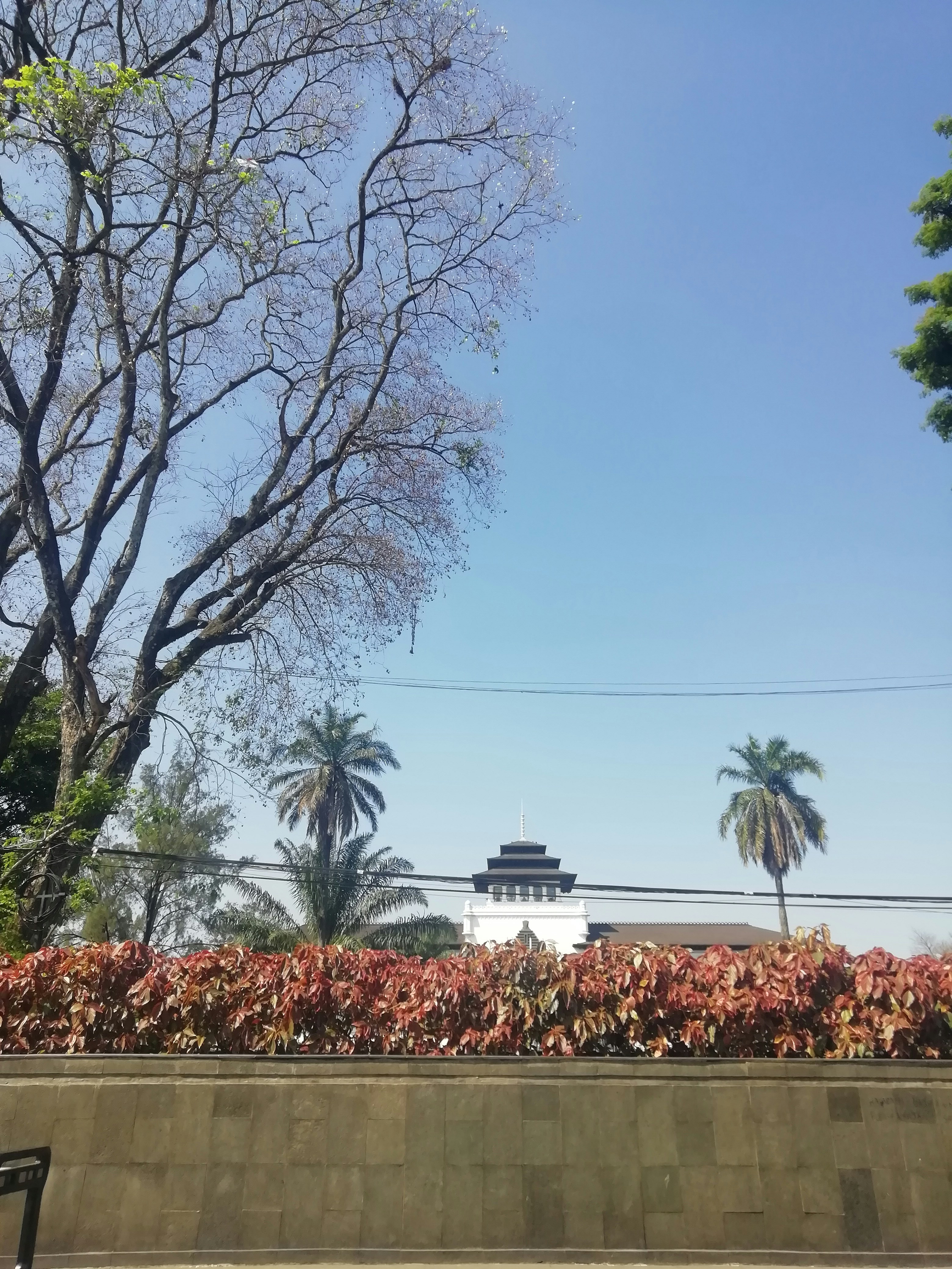 Ifan Fauzan (@ifanfn) | Unsplash 사진 커뮤니티