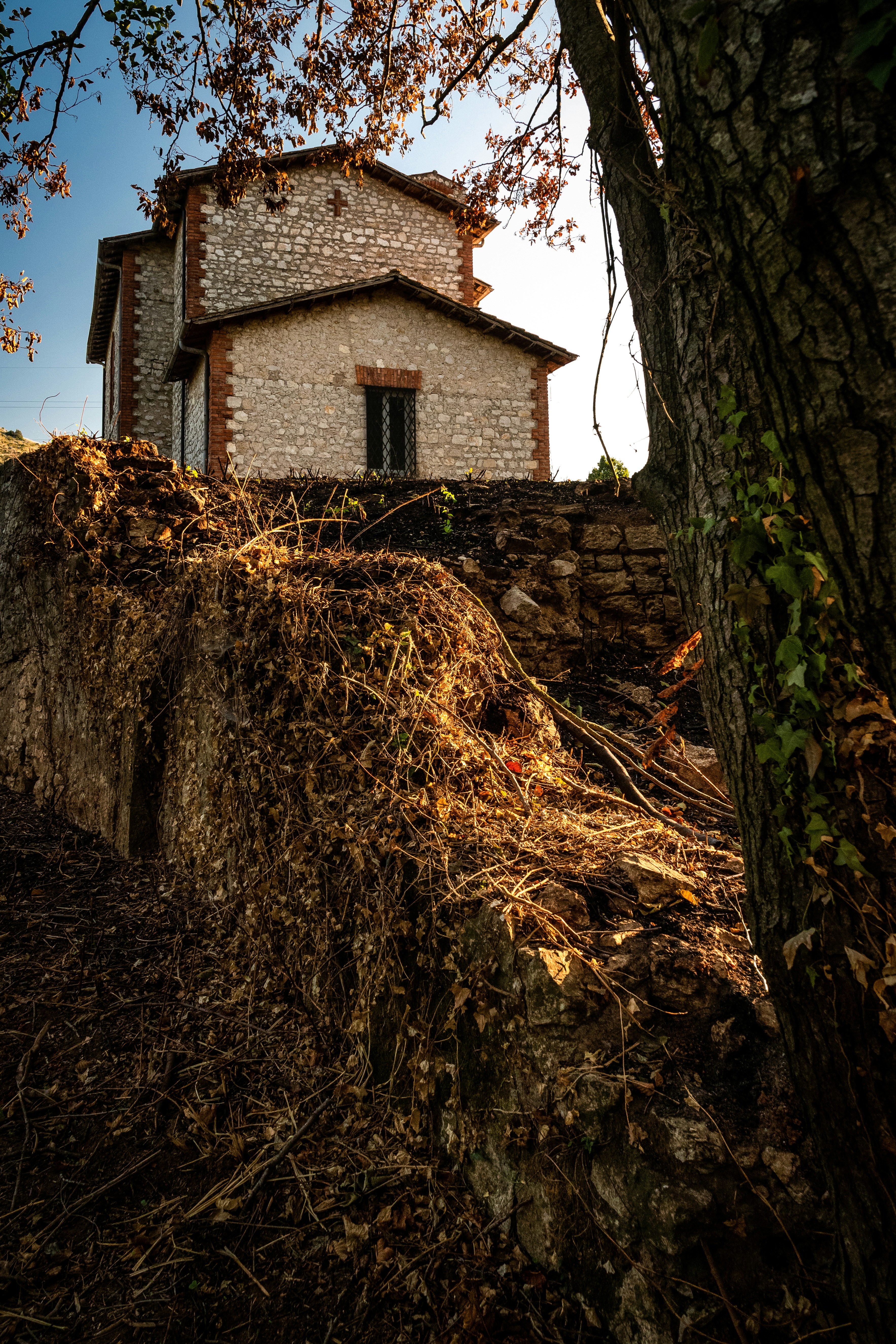 Stone House Amid Sunlit Tangle and Worn Stone Wall