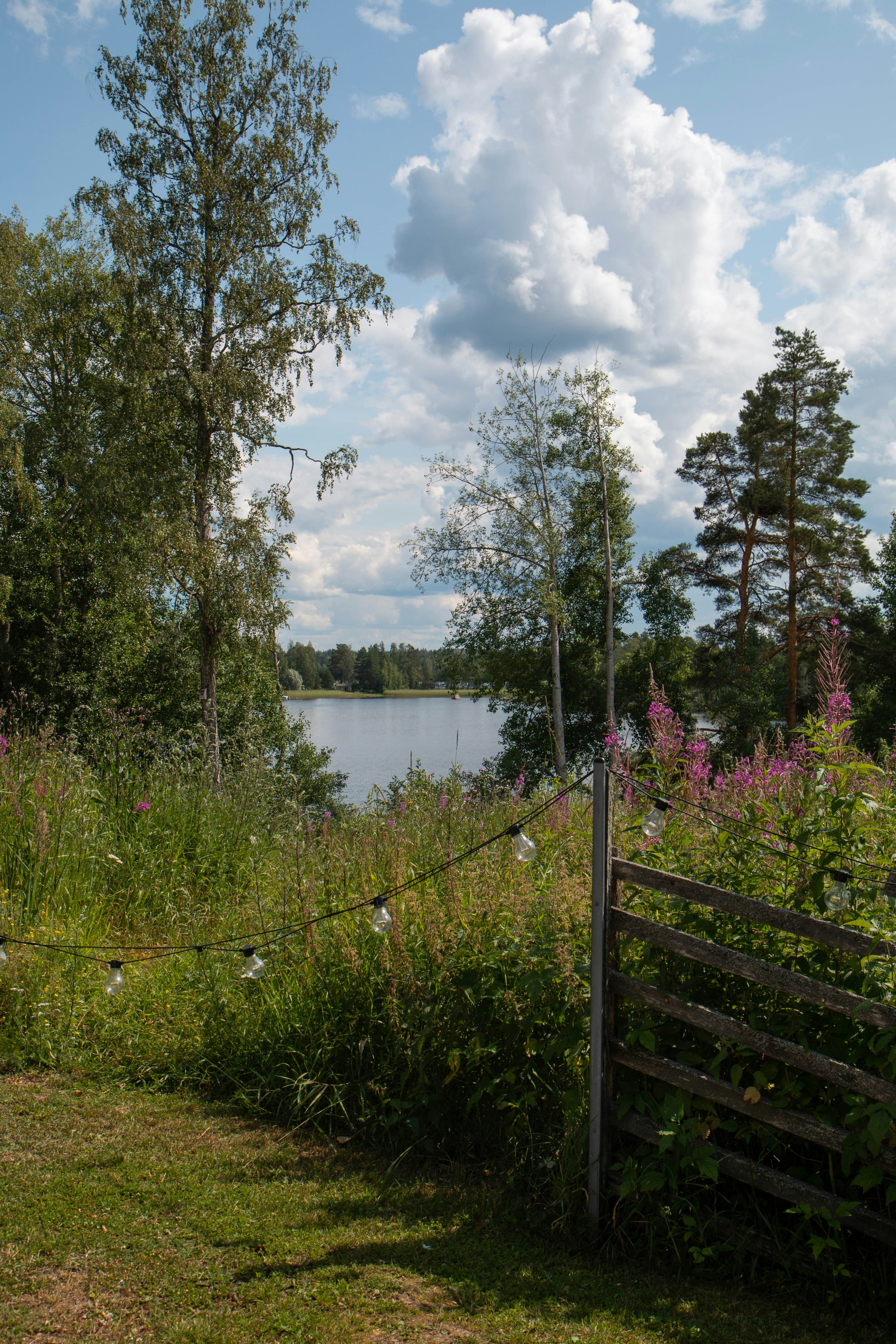 Sunlit lakeside meadow with string lights and a weathered fence