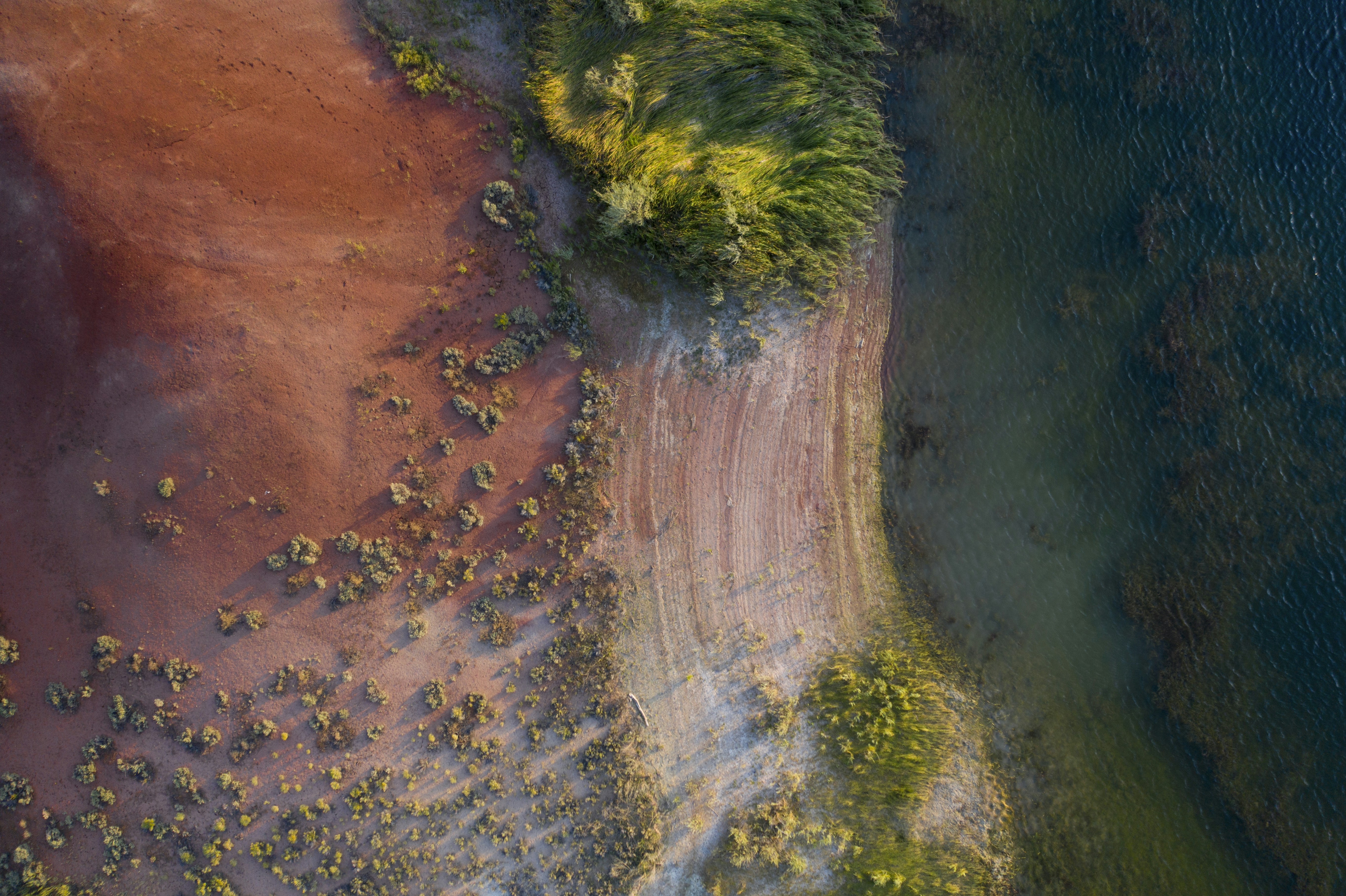 Aerial view of vibrant red soil meeting lush greenery and clear blue lake waters.
