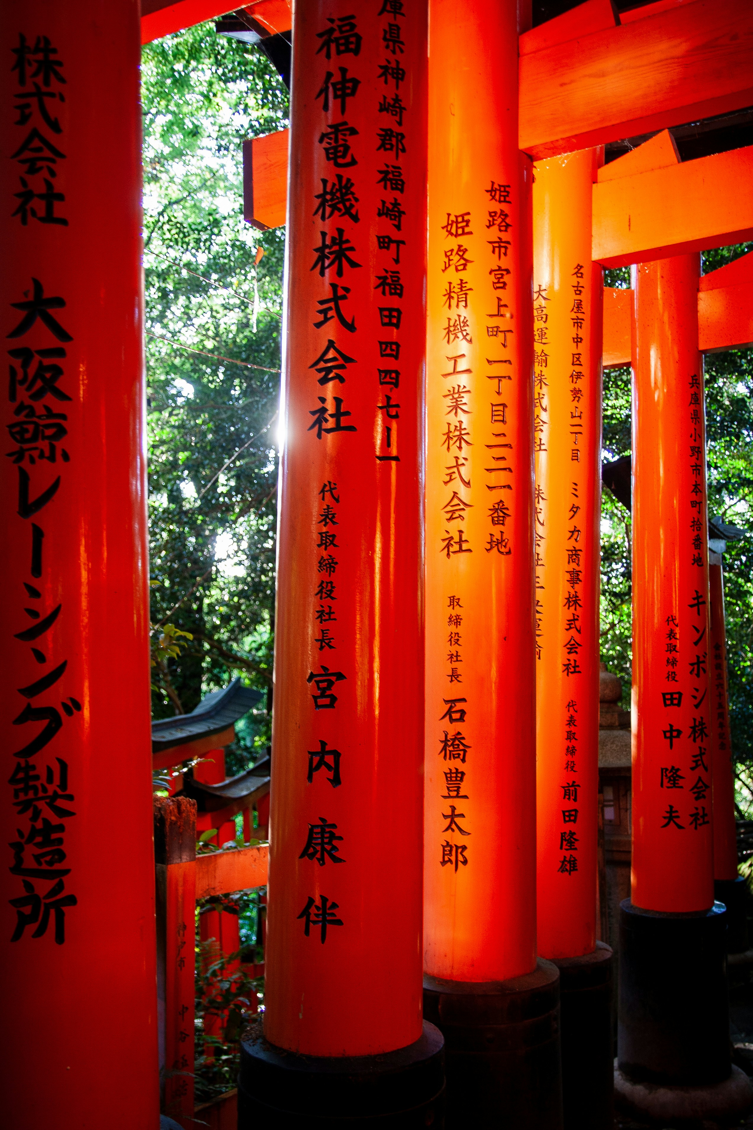 Illuminated red torii gates adorned with intricate inscriptions, framed by lush greenery. A striking representation of cultural heritage.