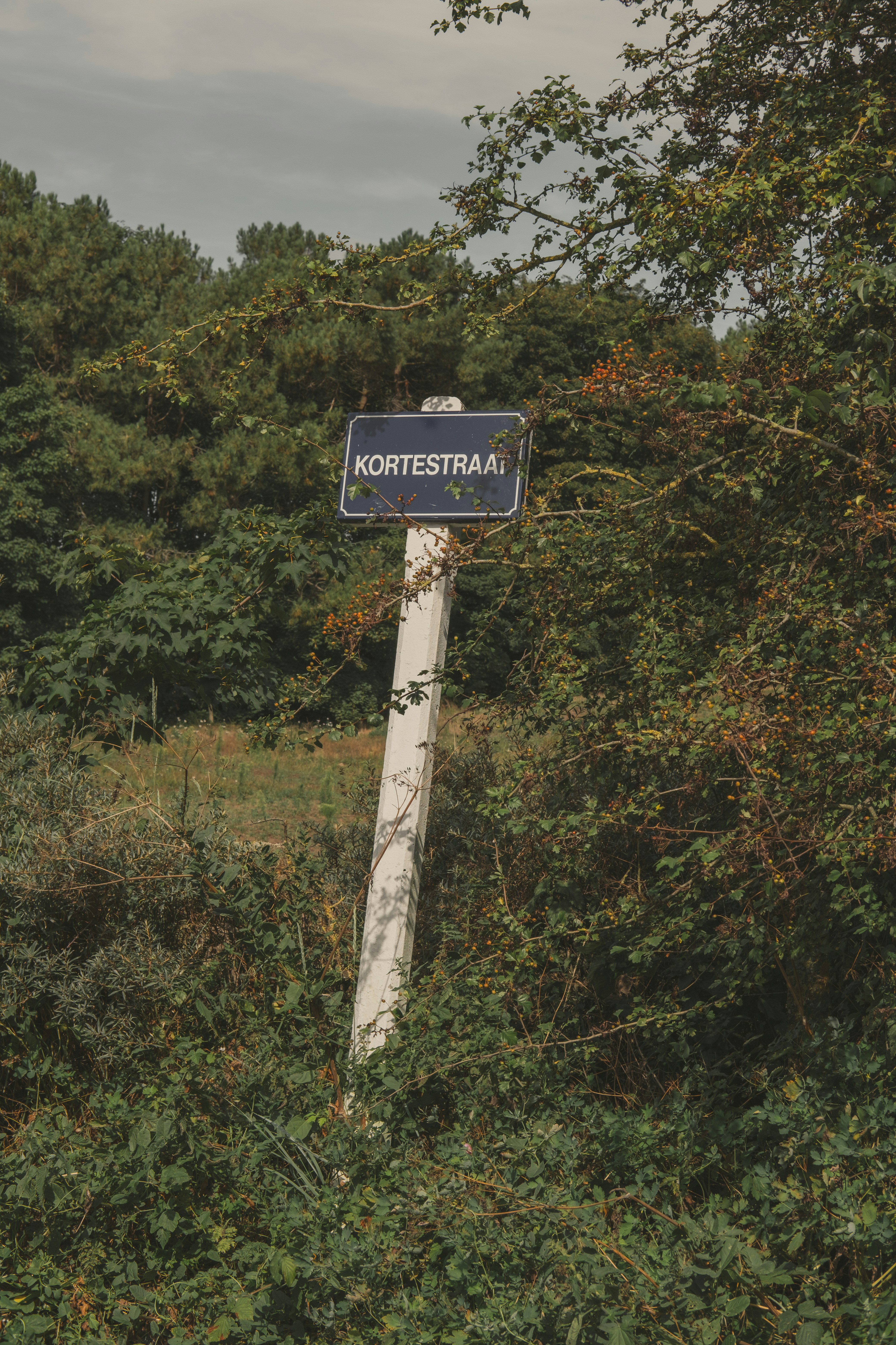 A weathered street sign for 'KORTESTRAÄÄ' partially obscured by lush greenery in a tranquil rural setting.