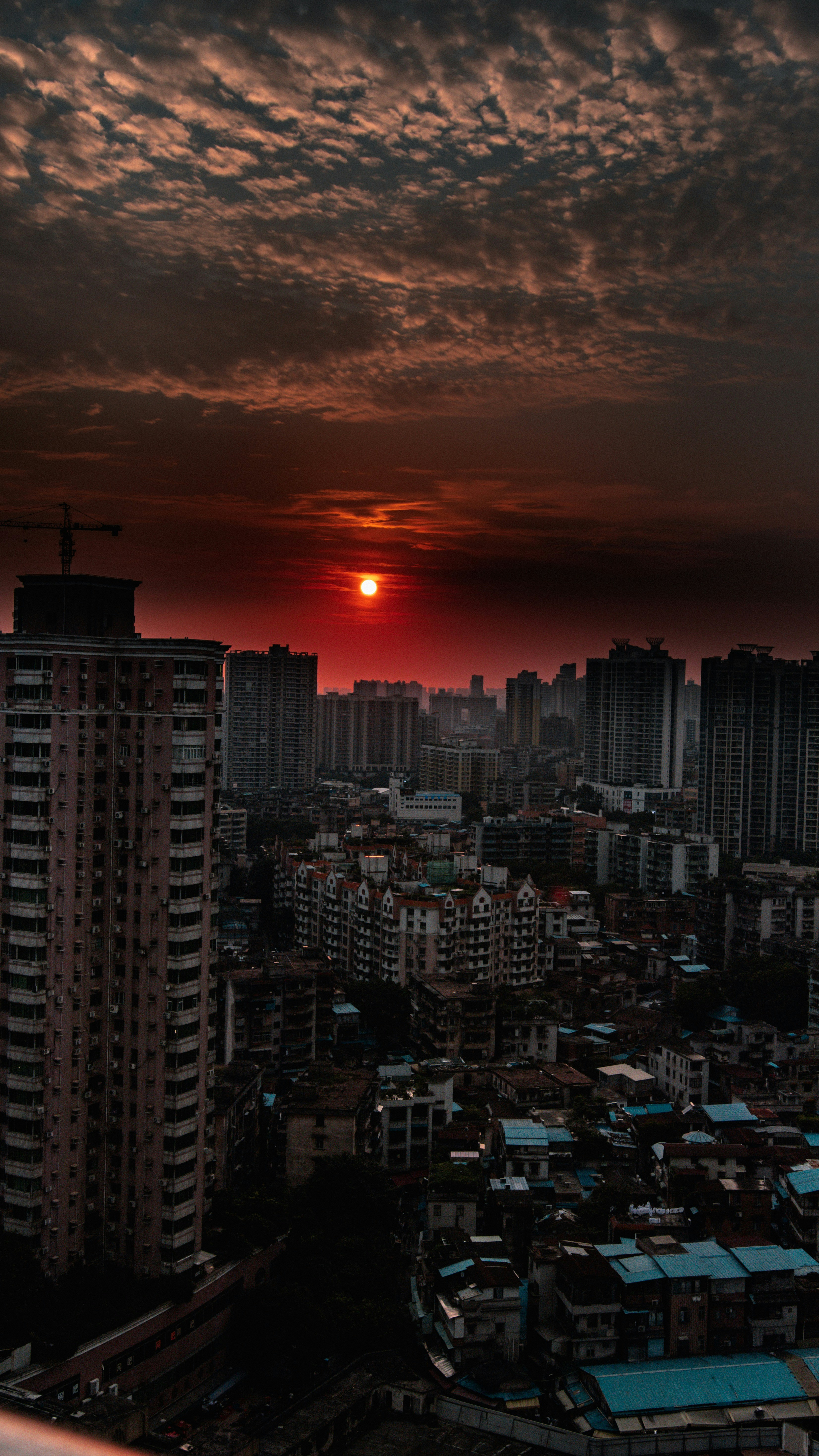 Red City Pictures | Download Free Images on Unsplash