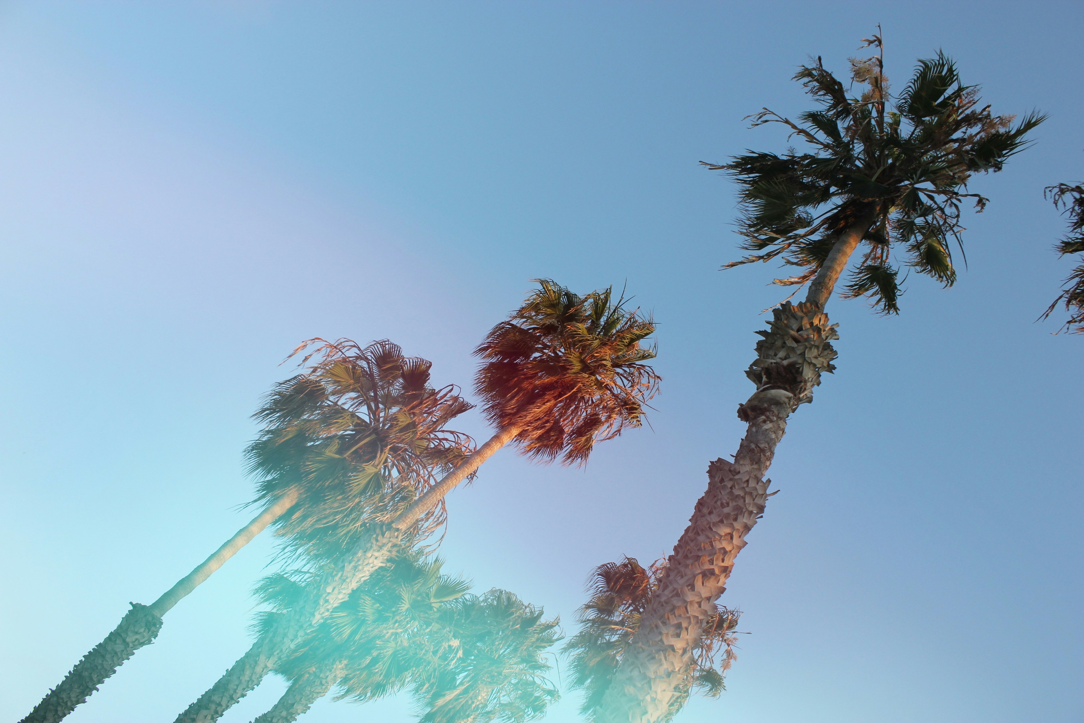 Keana Miles (@keejj) | Komunitas Foto Unsplash