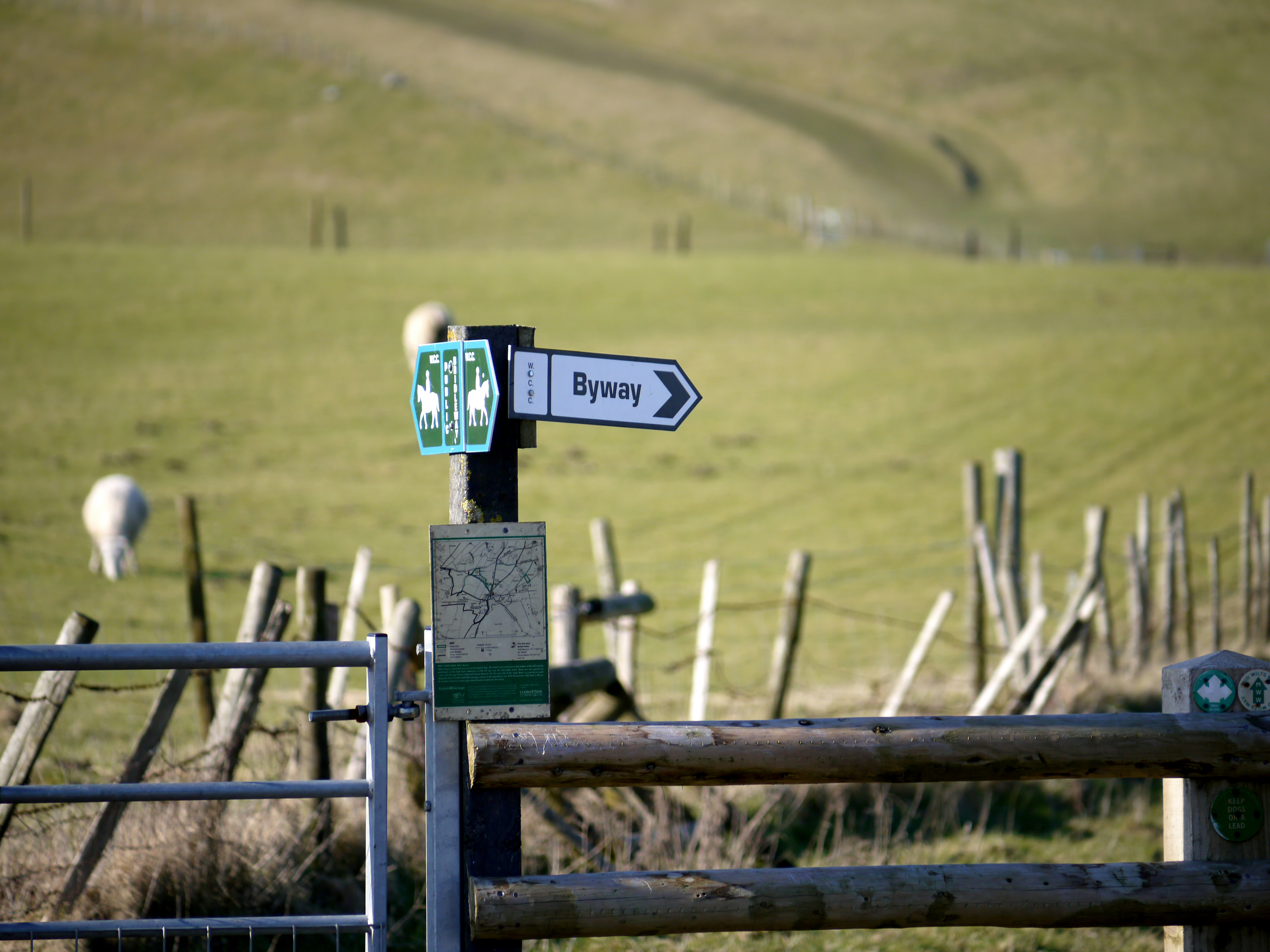 Byway Signpost at a Weathered Gate: Quiet Passage into Sunlit Pastures