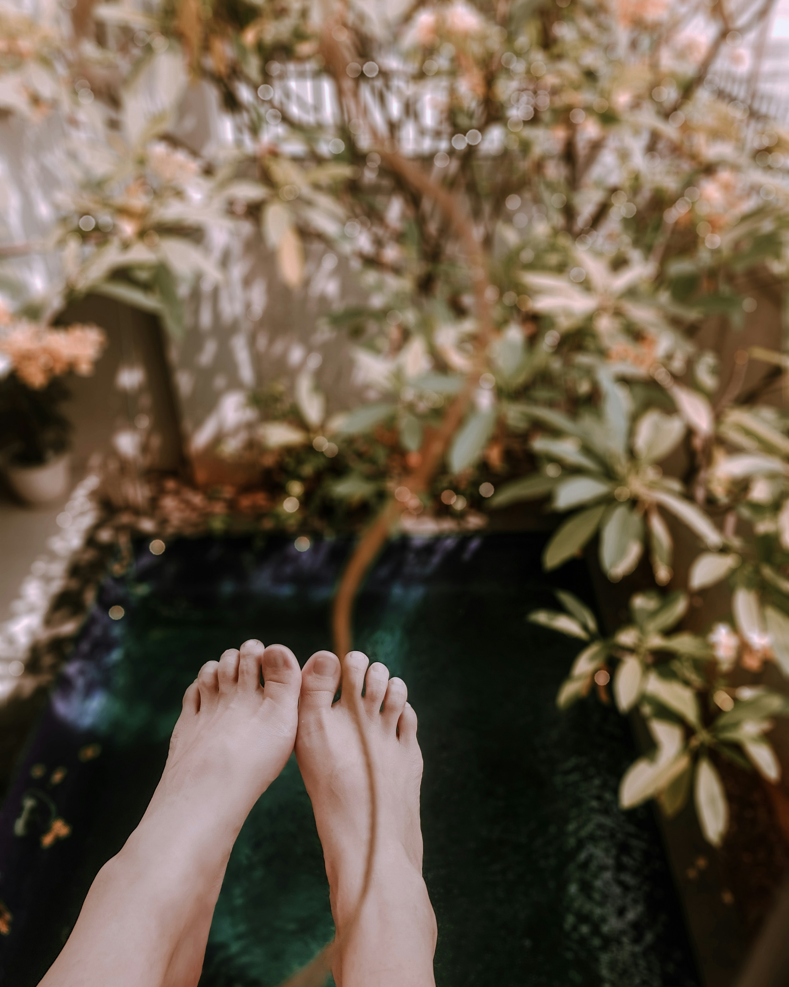 Pair of person's feet photo – Free Toe Image on Unsplash
