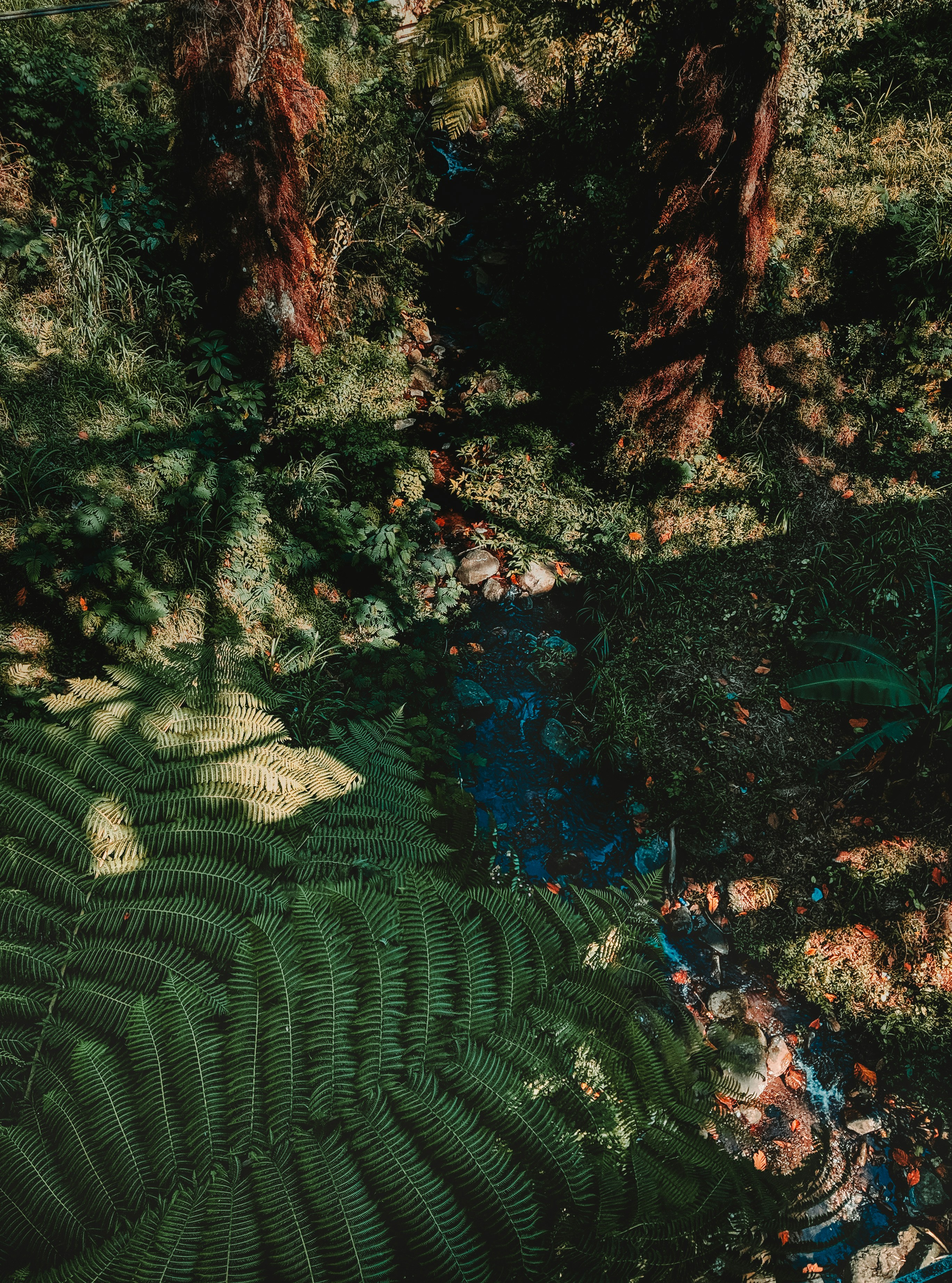 Nature