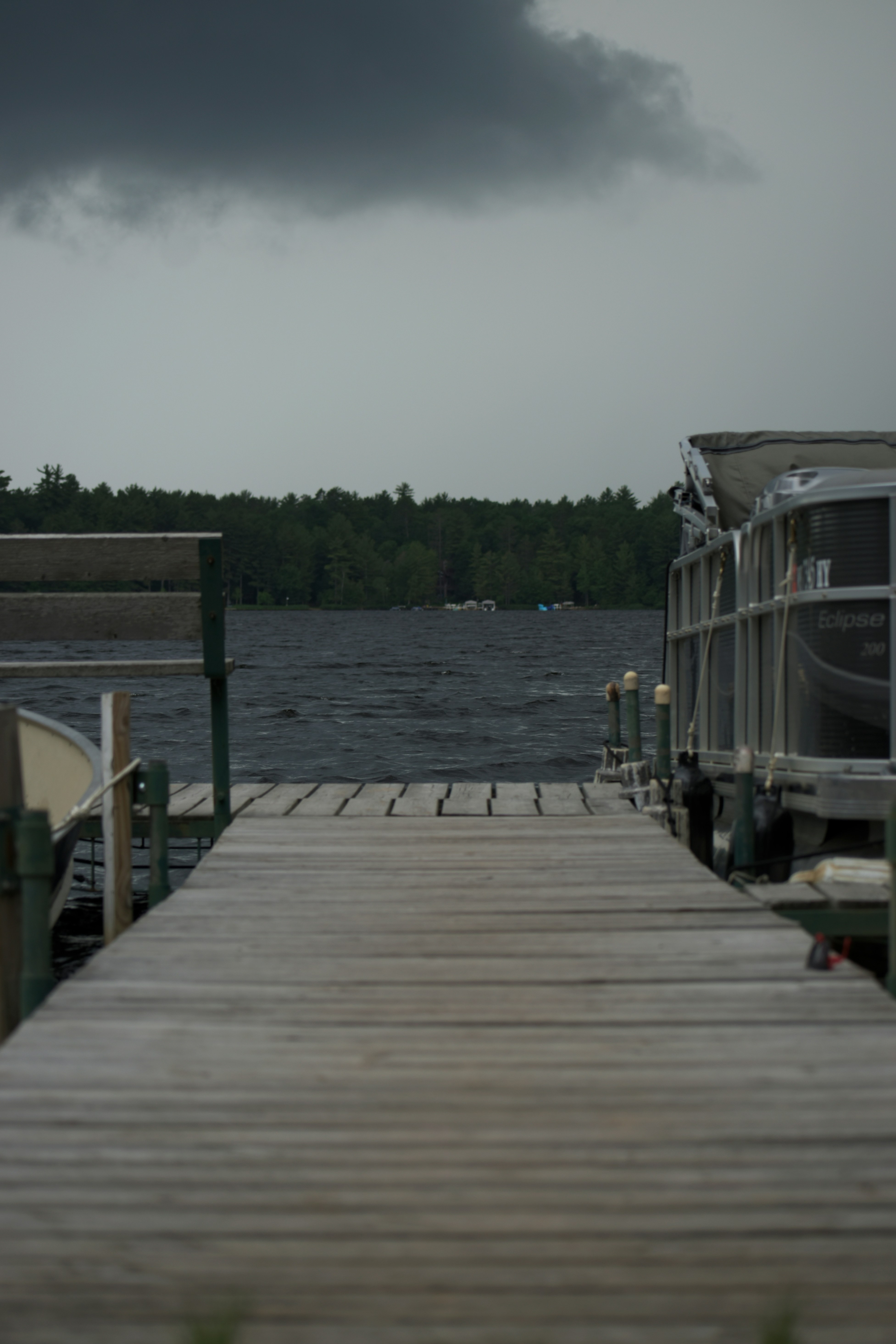 Dockside Perspective: A Quiet Lift Toward the Distant Tree Line