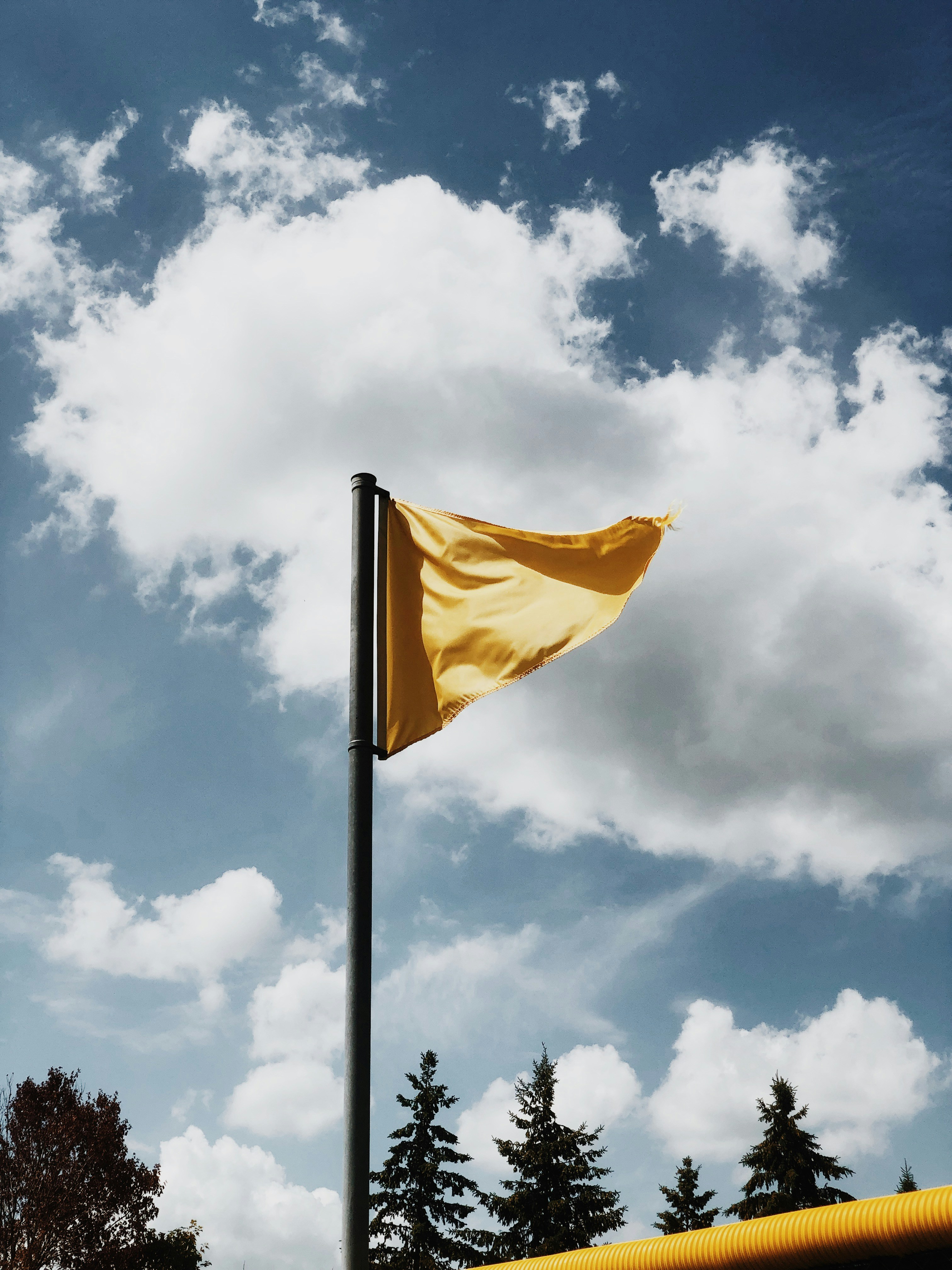 Golden Flag on a Tall Mast Beneath a Cobalt Sky and Pine Silhouettes